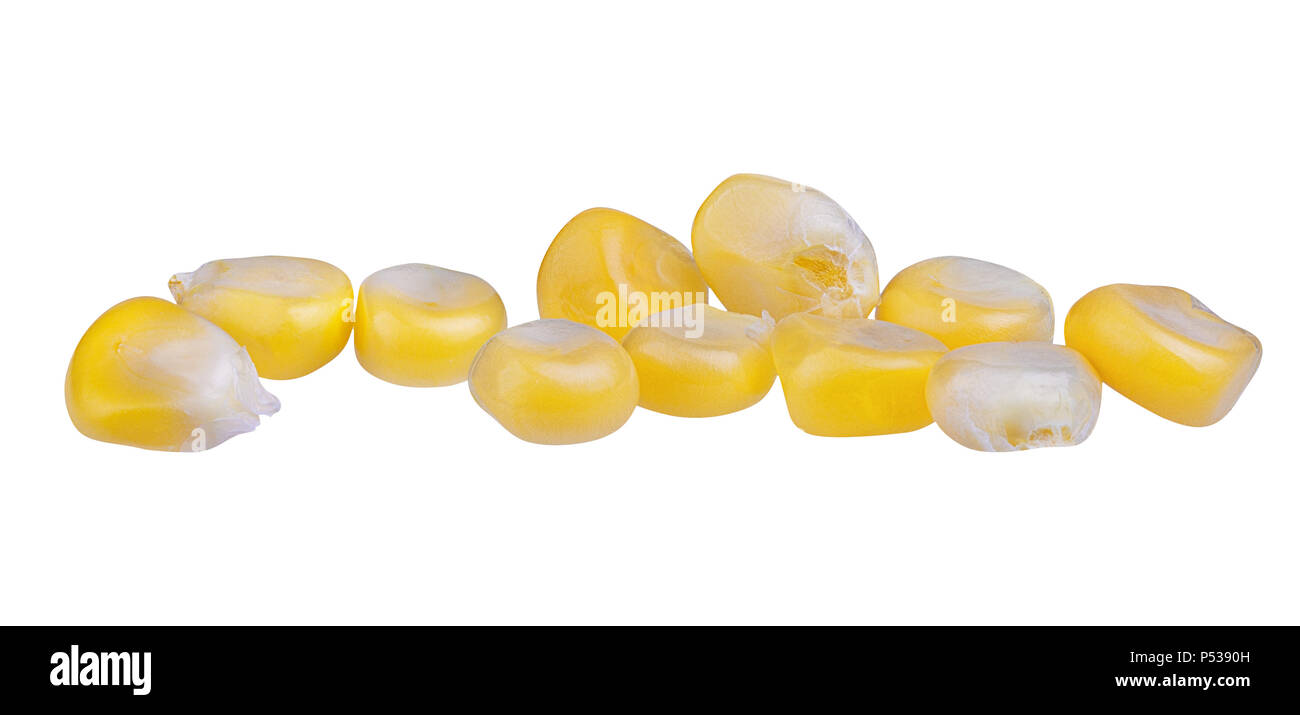Corn isolated on white background Stock Photo - Alamy