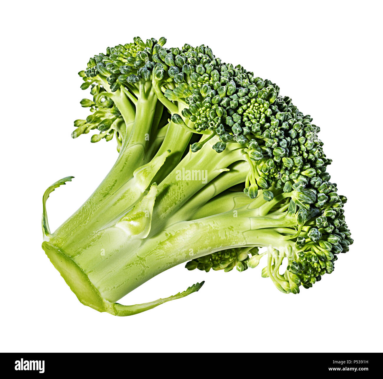 Broccoli isolated on white background Stock Photo - Alamy