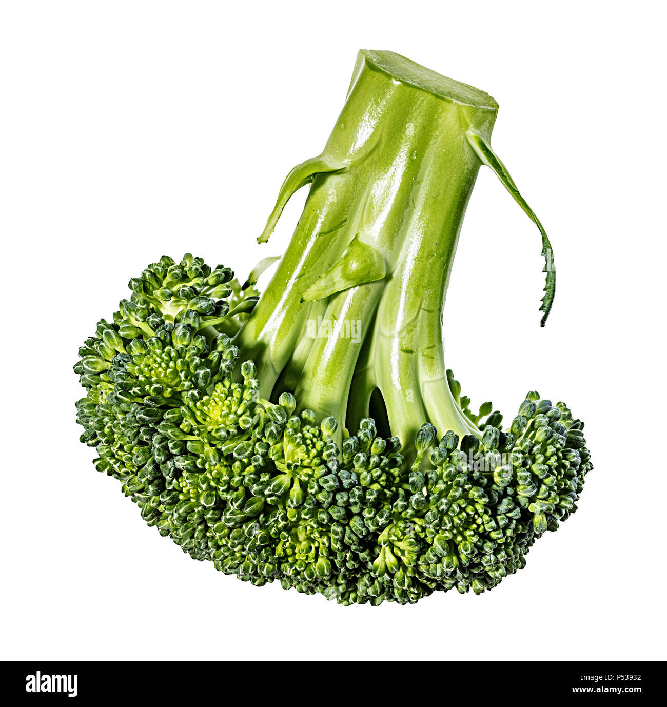 Broccoli isolated on white background Stock Photo - Alamy
