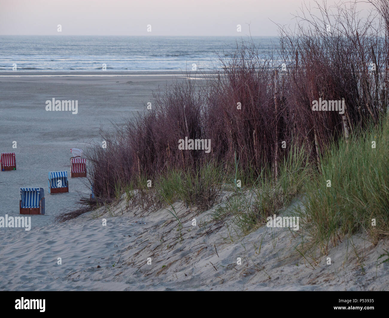 at the beach Stock Photo - Alamy