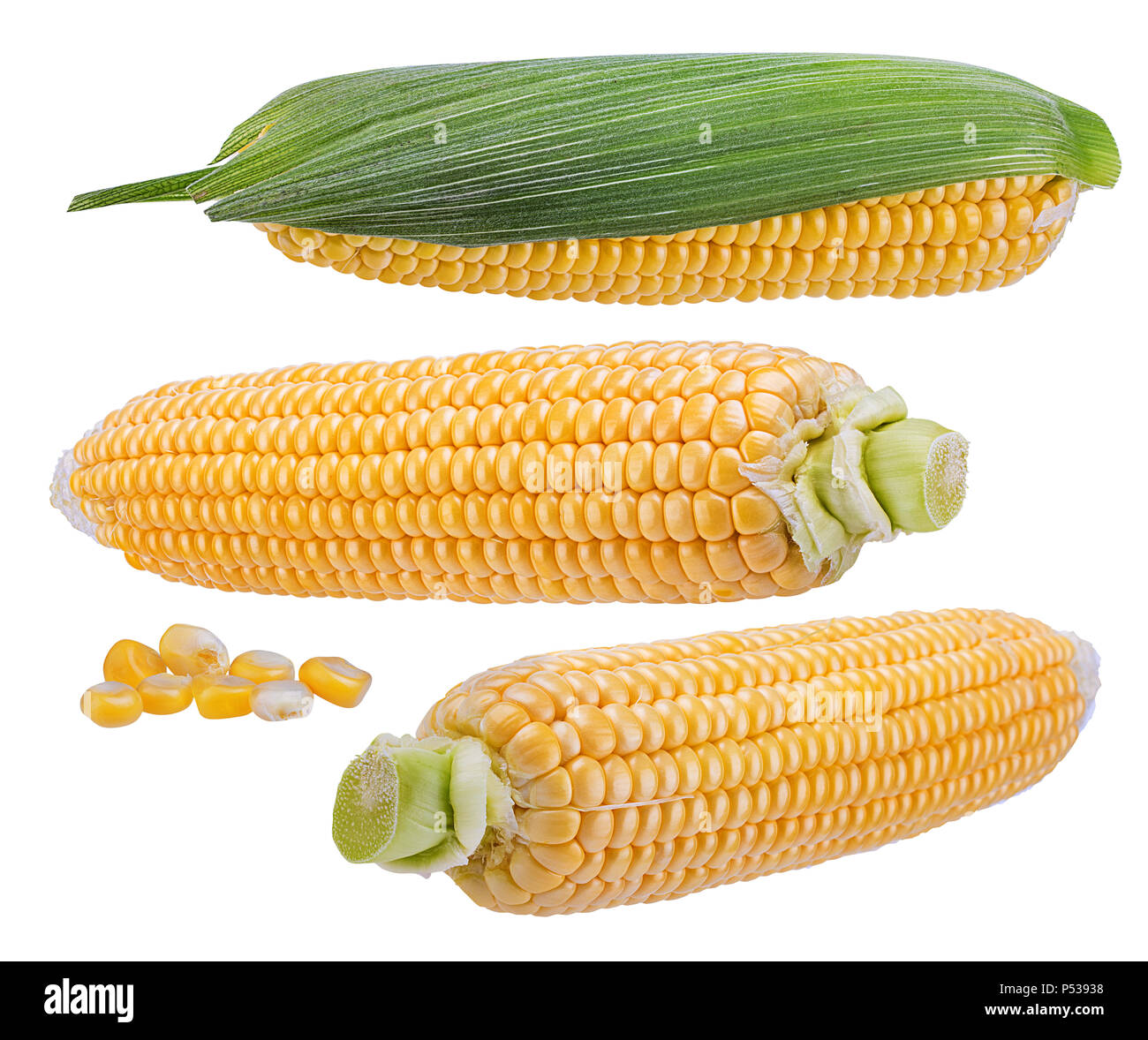 Corn isolated on white background Stock Photo - Alamy