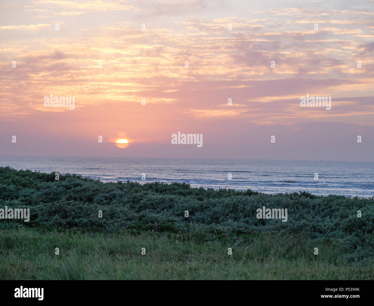 summer at the beach Stock Photo - Alamy