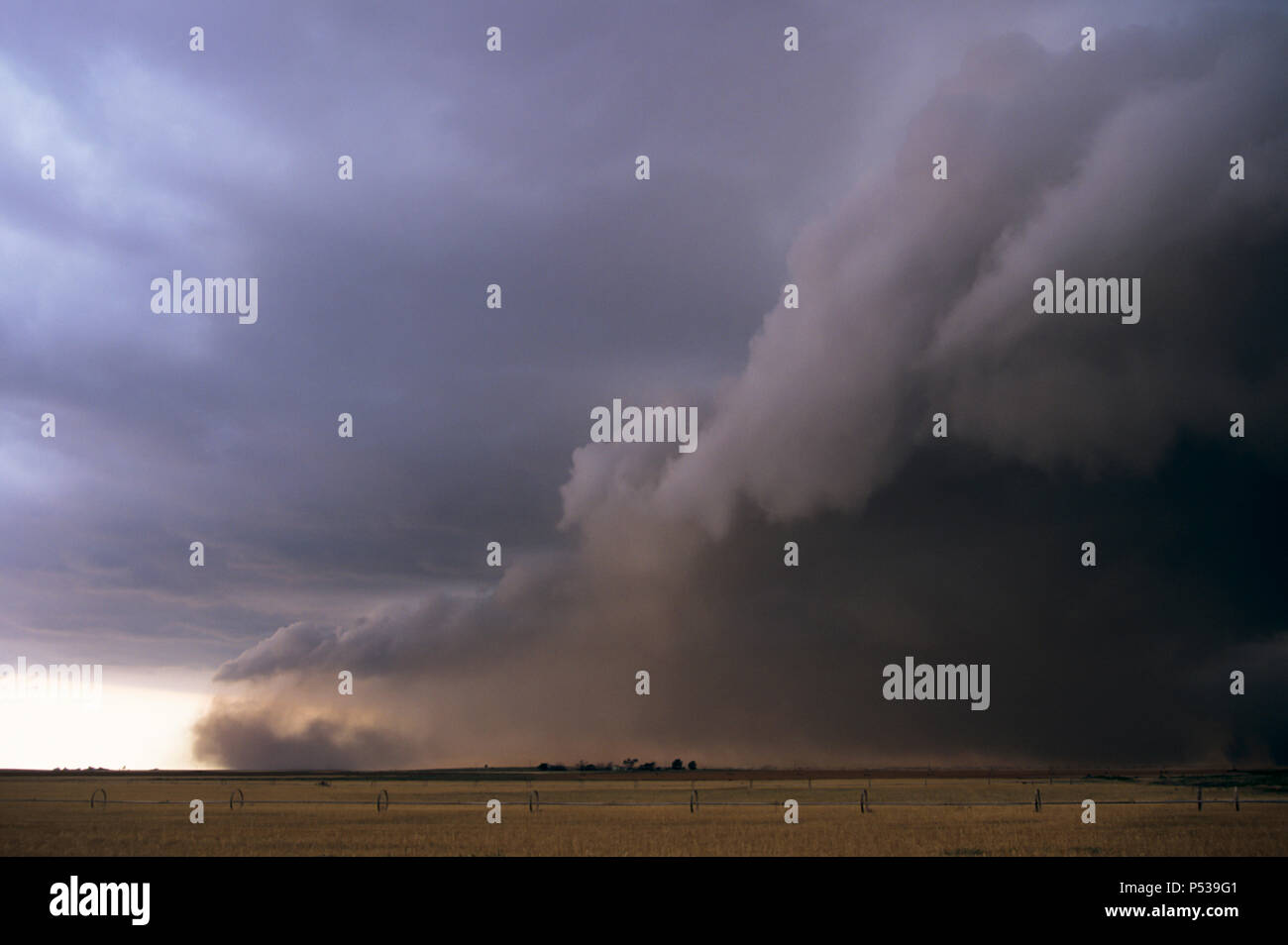 Gust front thunderstorm hi-res stock photography and images - Alamy