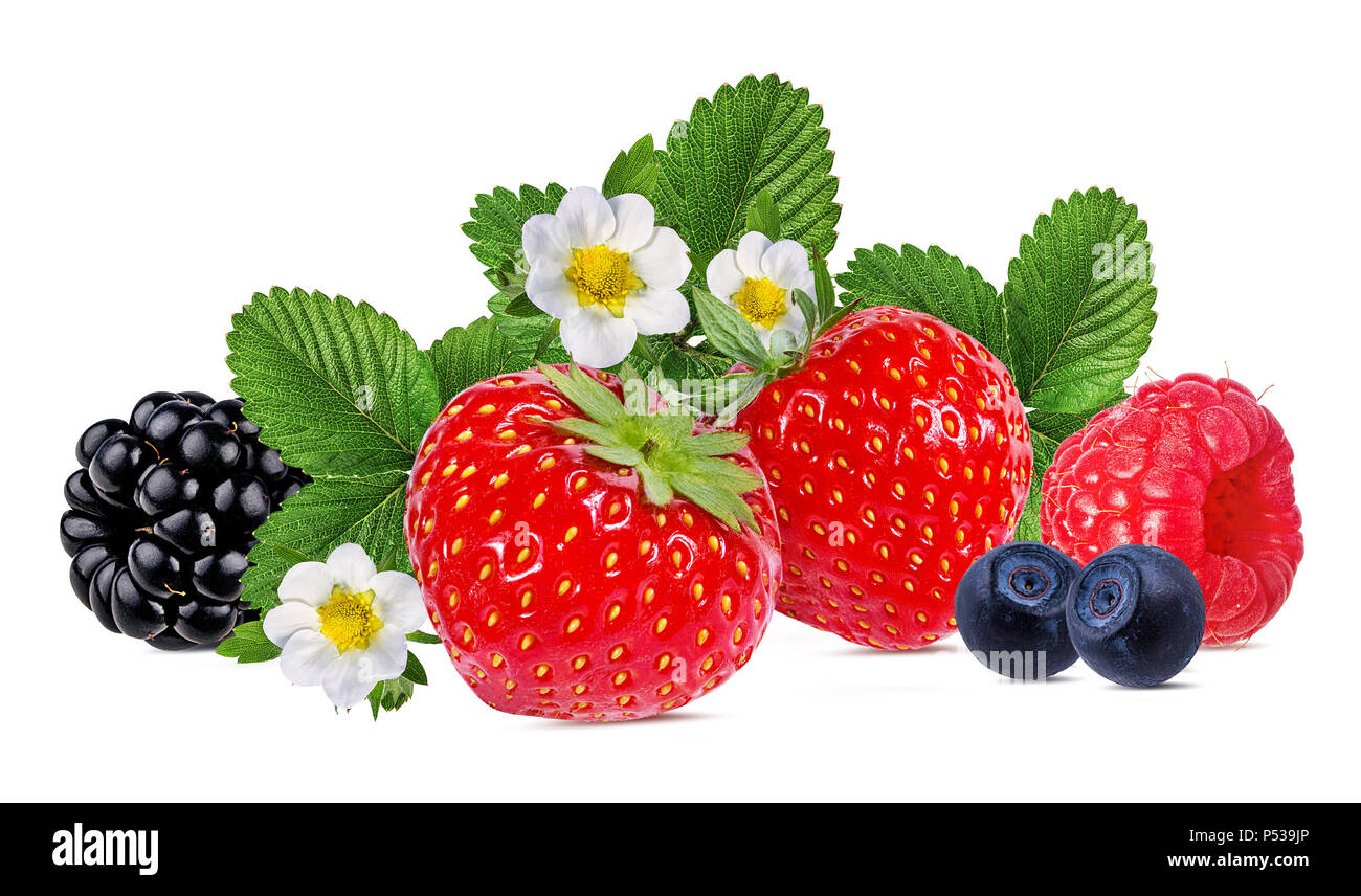 Blackberry blueberry strawberry raspberry hi-res stock photography and ...