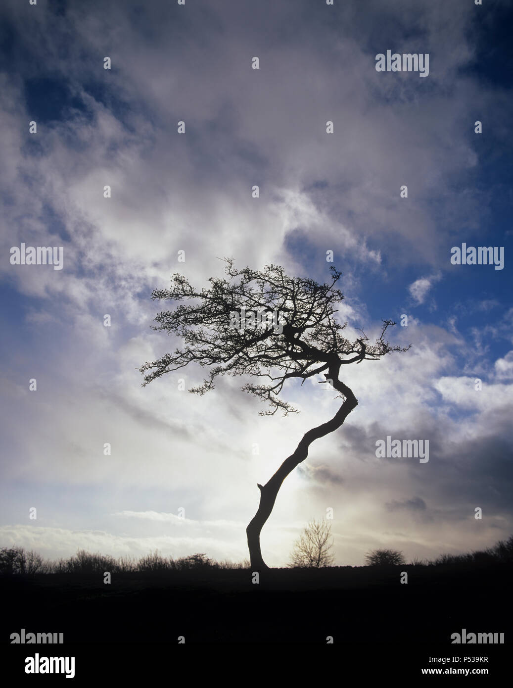 Windswept sky hi-res stock photography and images - Alamy