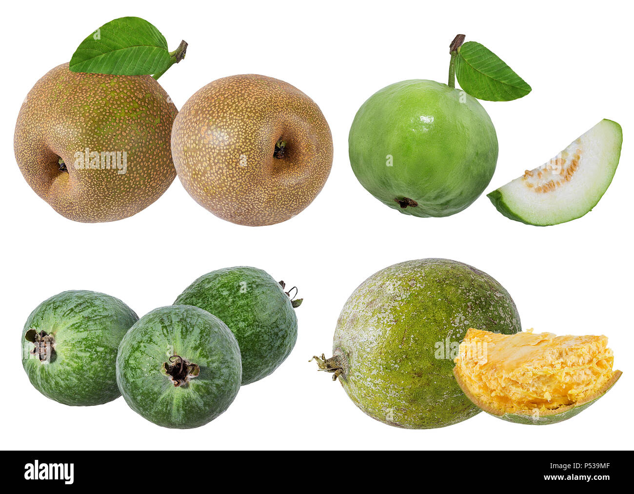 Collection of exotic fruits isolated on a white background Stock Photo ...