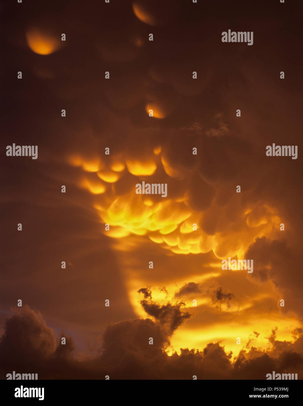 Types of weather hi-res stock photography and images - Alamy