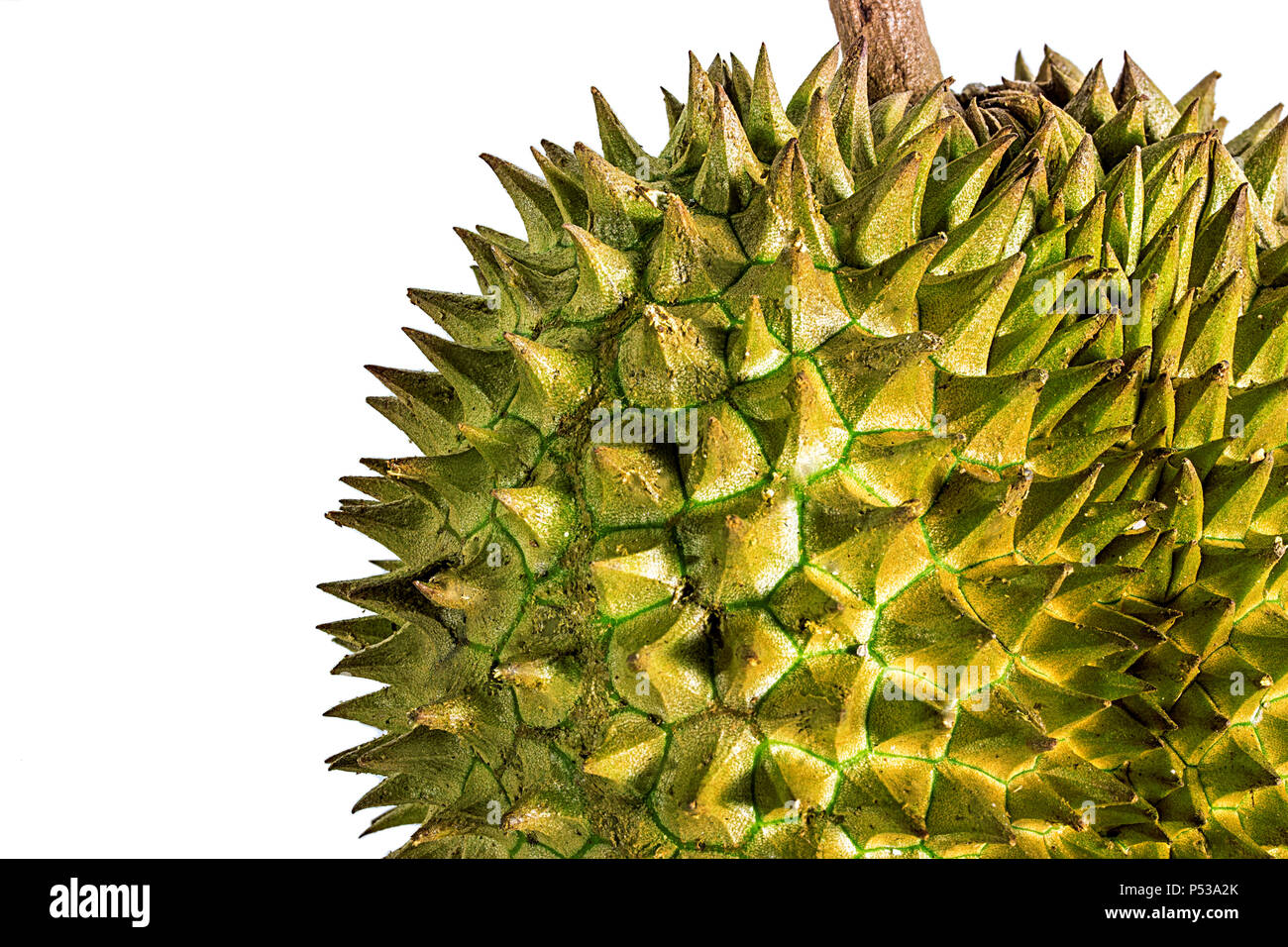 Durian isolated on white background Stock Photo - Alamy