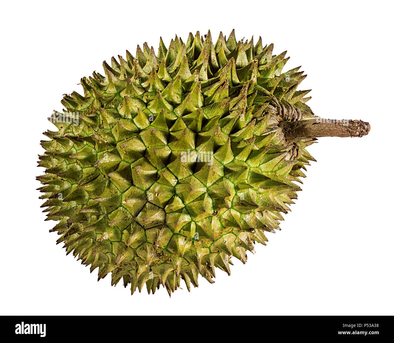 Durian isolated on white background Stock Photo - Alamy