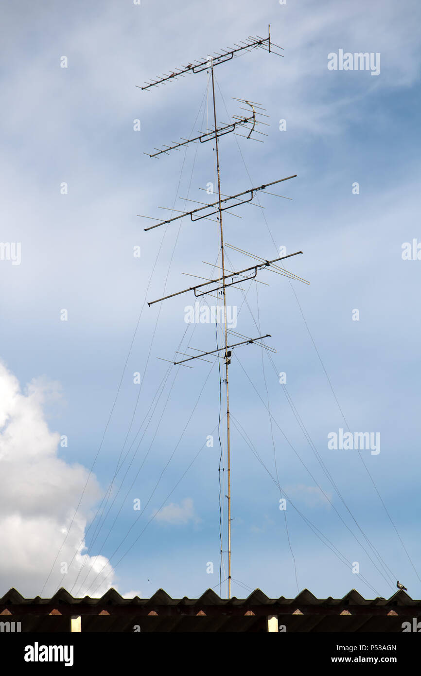 Collinear In Real Life