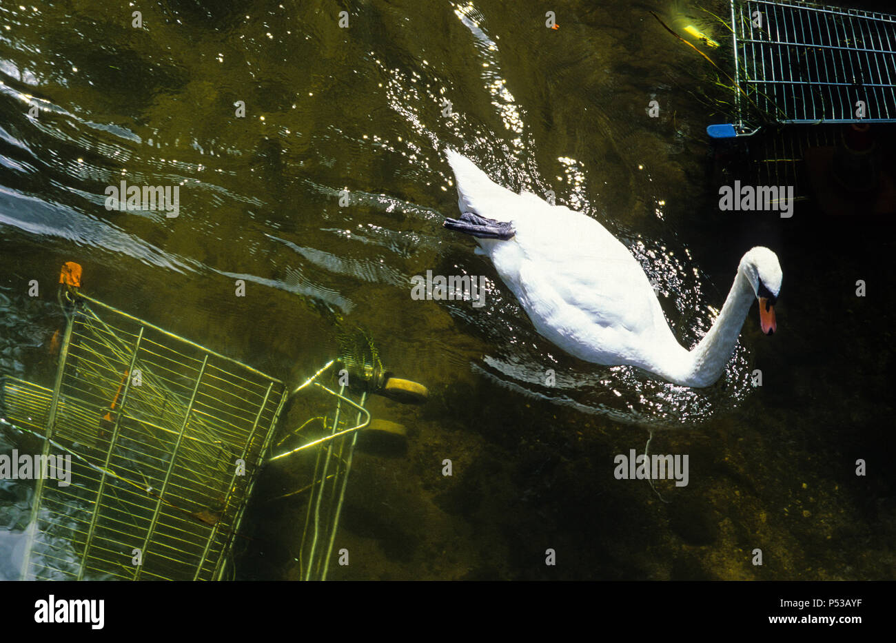 Pollution river hi-res stock photography and images - Alamy