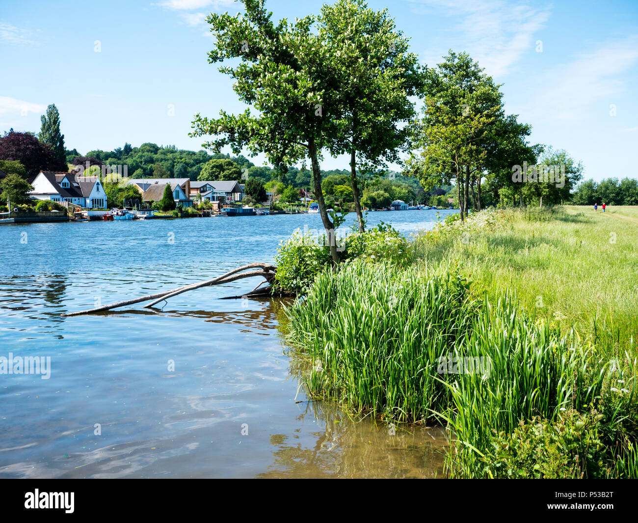 River Thames River Bank, Thames Path, Bourne End, Buckinghamshire ...