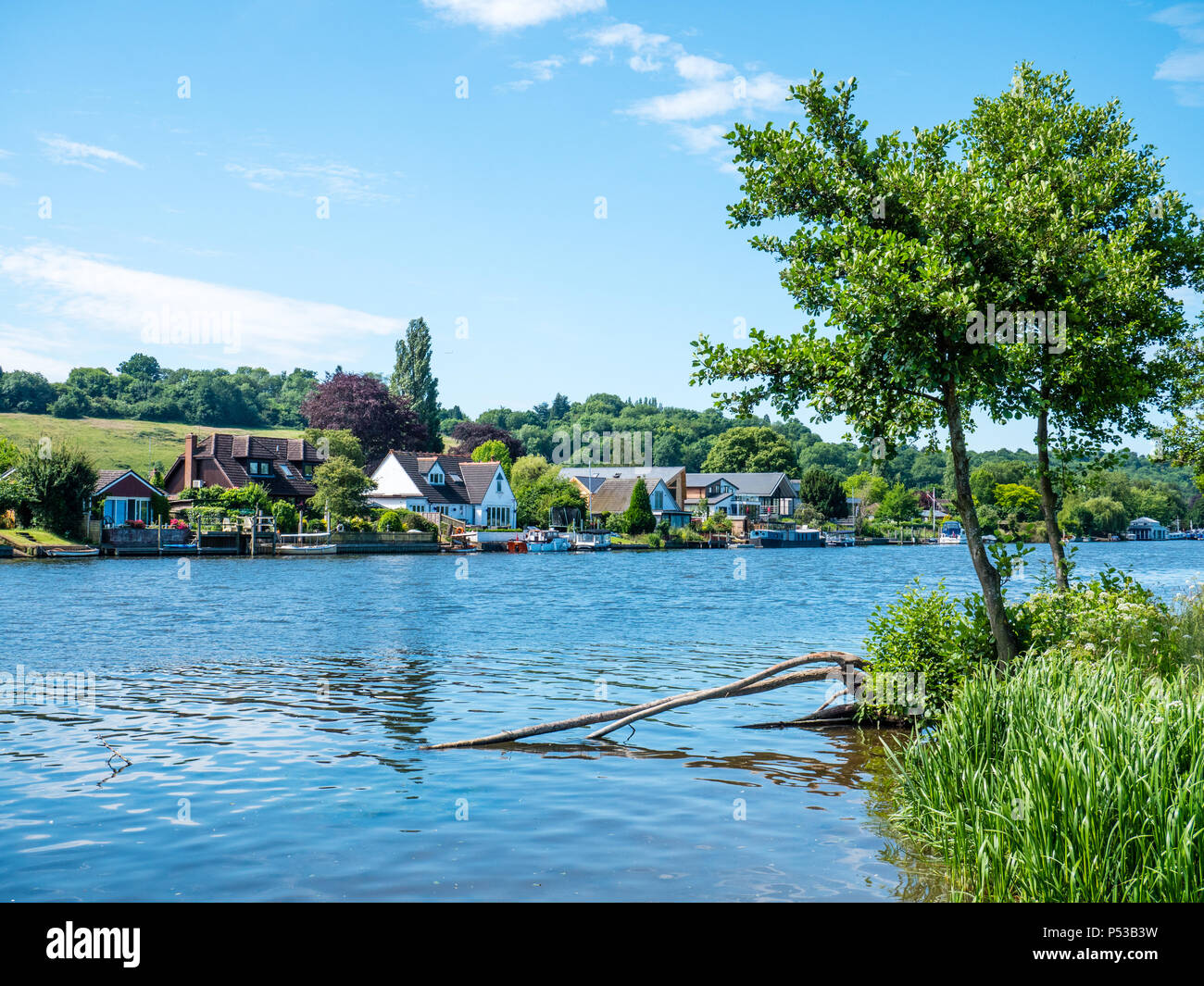 River Thames River Bank, Thames Path, Bourne End, Buckinghamshire ...