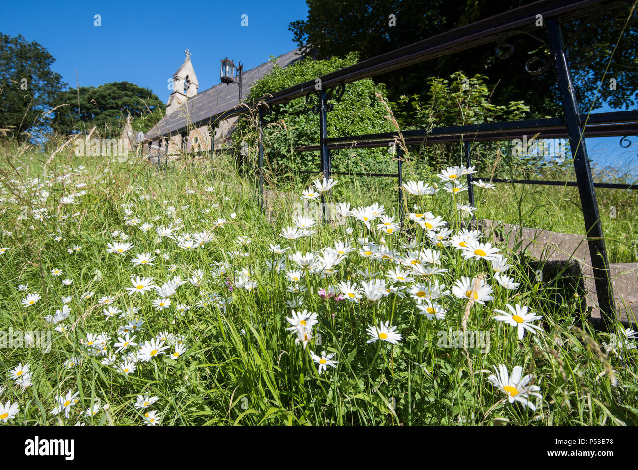 Summer at the Holy Trinity Church in Bulcote, Nottinghamshire England ...