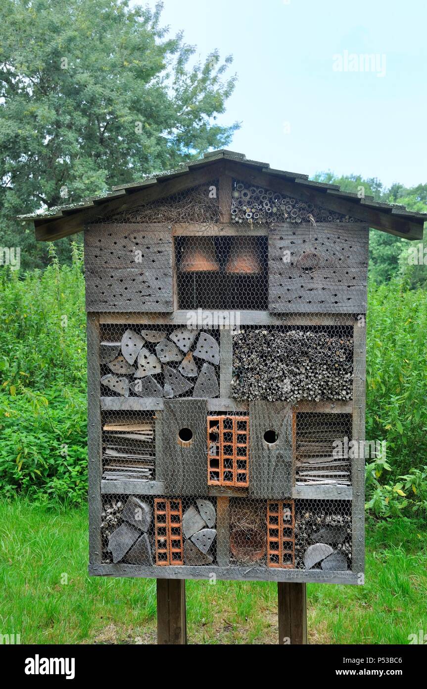 Insect shelter in a park Stock Photo - Alamy