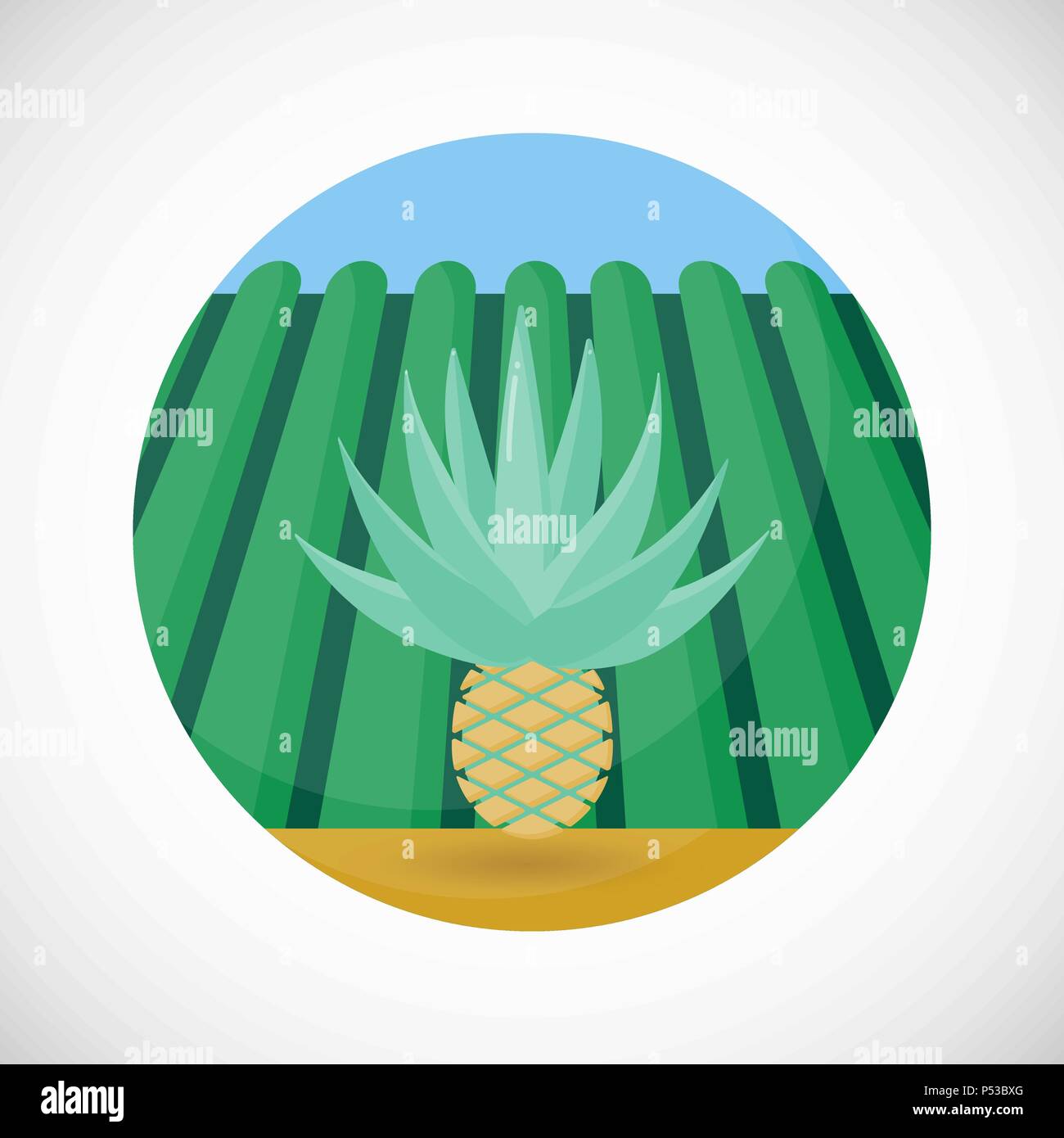 Agave heart flat vector icon, Flat design of Mexican beverage blue ...
