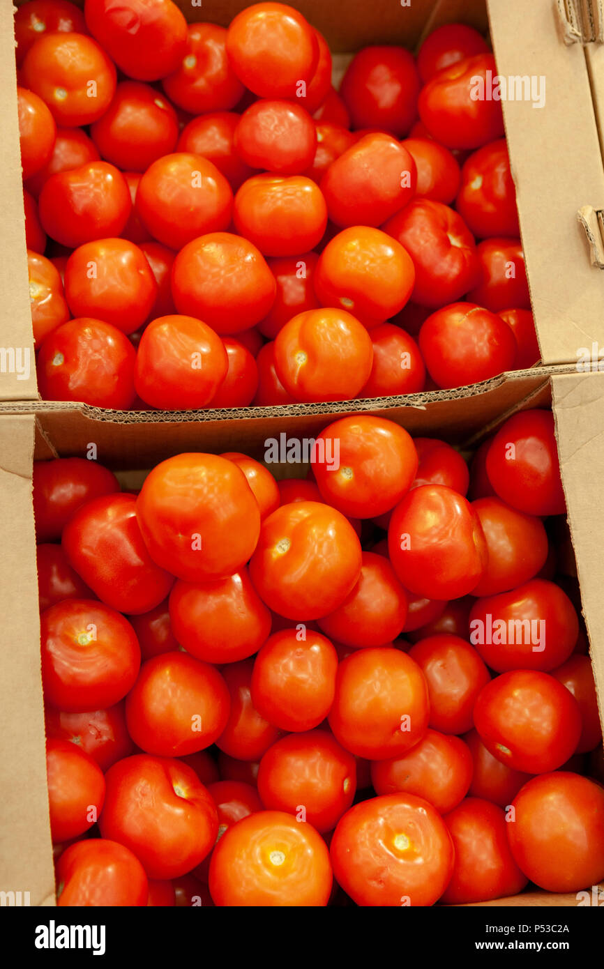 Tomatoes in boxes on the store shelf Stock Photo - Alamy