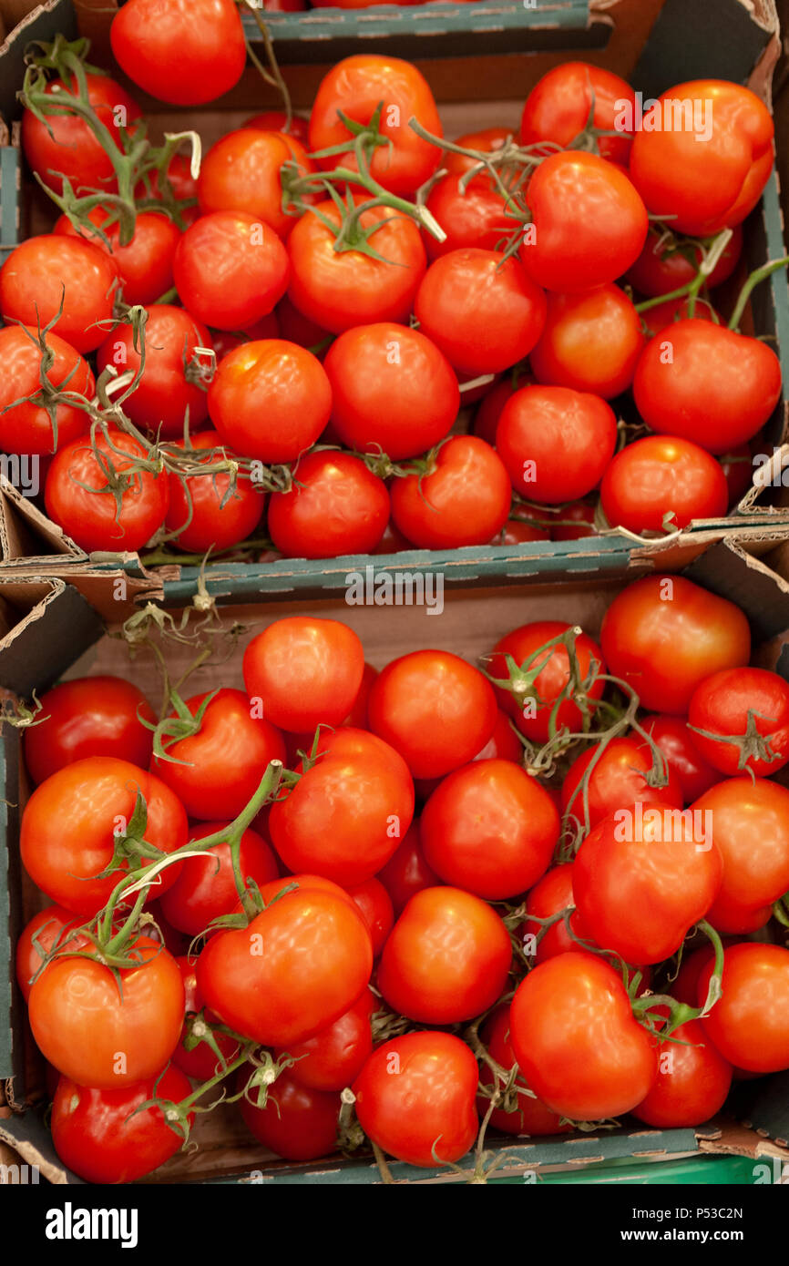 Tomatoes in boxes on the store shelf Stock Photo - Alamy