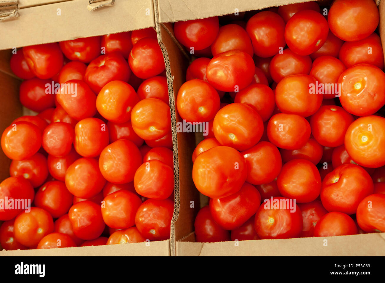 Tomatoes in boxes on the store shelf Stock Photo - Alamy