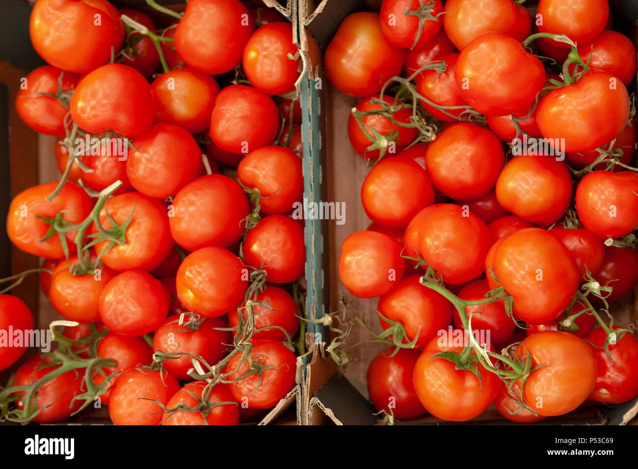 Tomatoes in boxes on the store shelf Stock Photo - Alamy