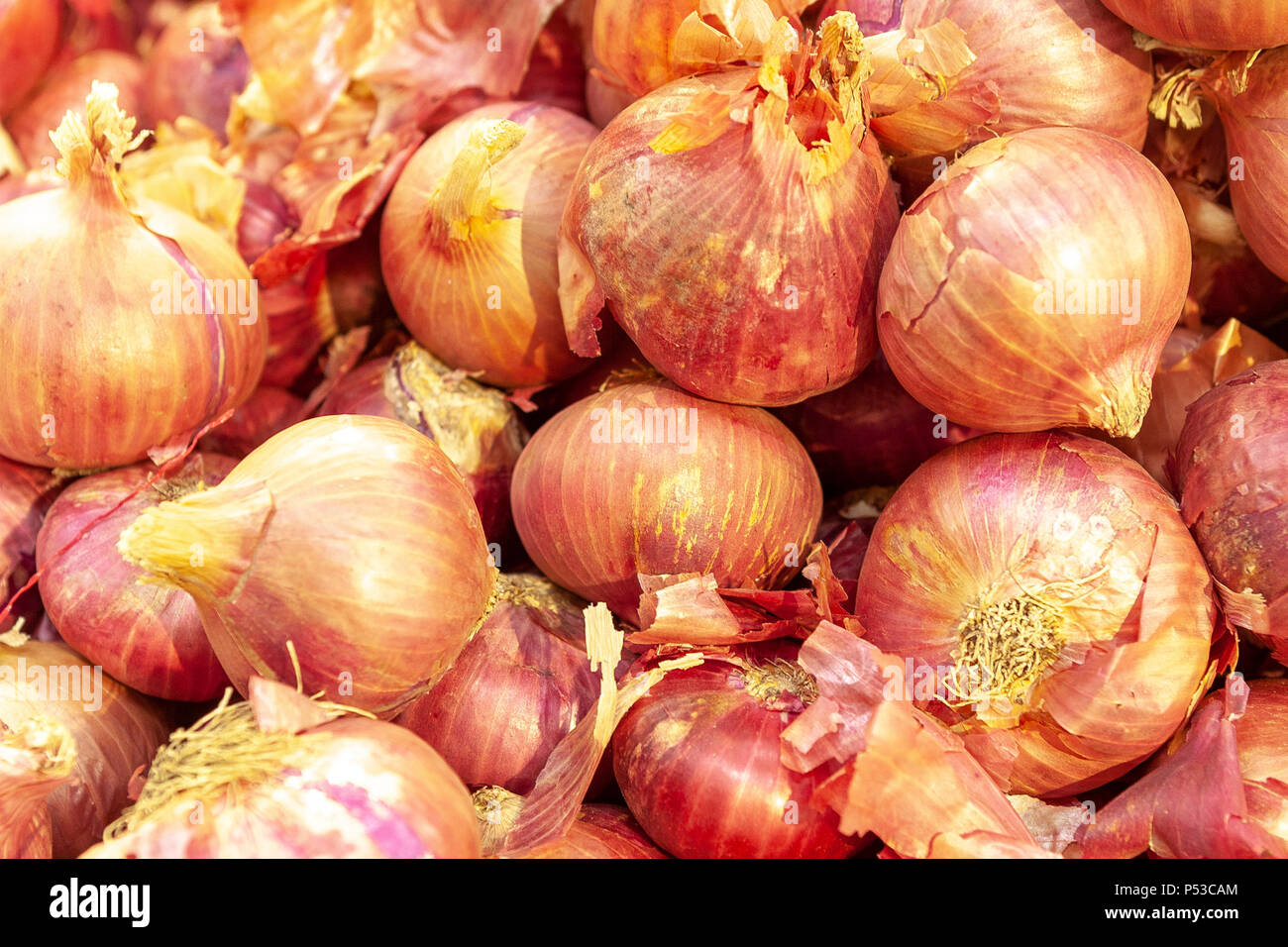 Blonde onions in the storefront Stock Photo - Alamy