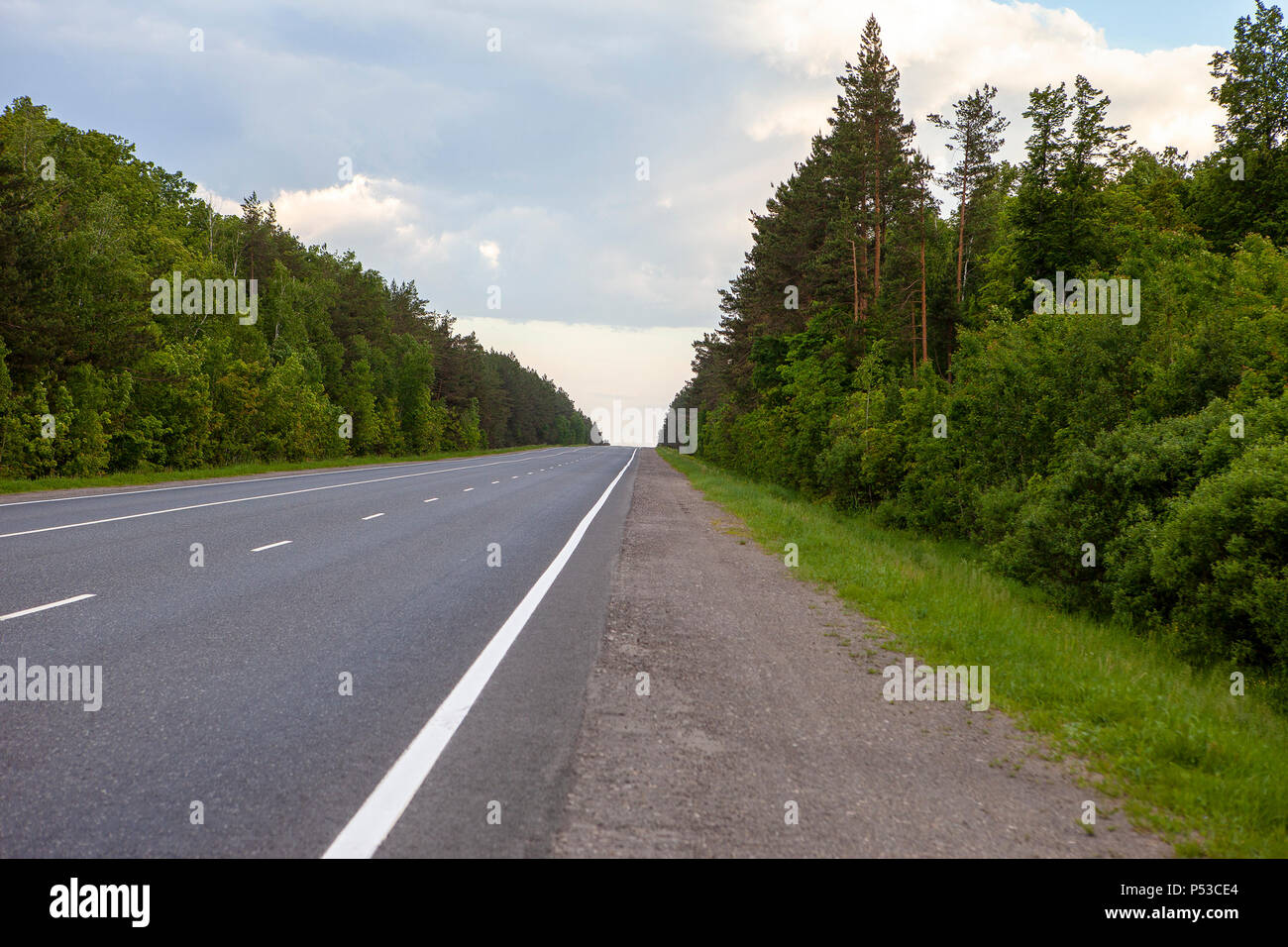 Road in the field, long distance trail in the field. Beautiful green ...