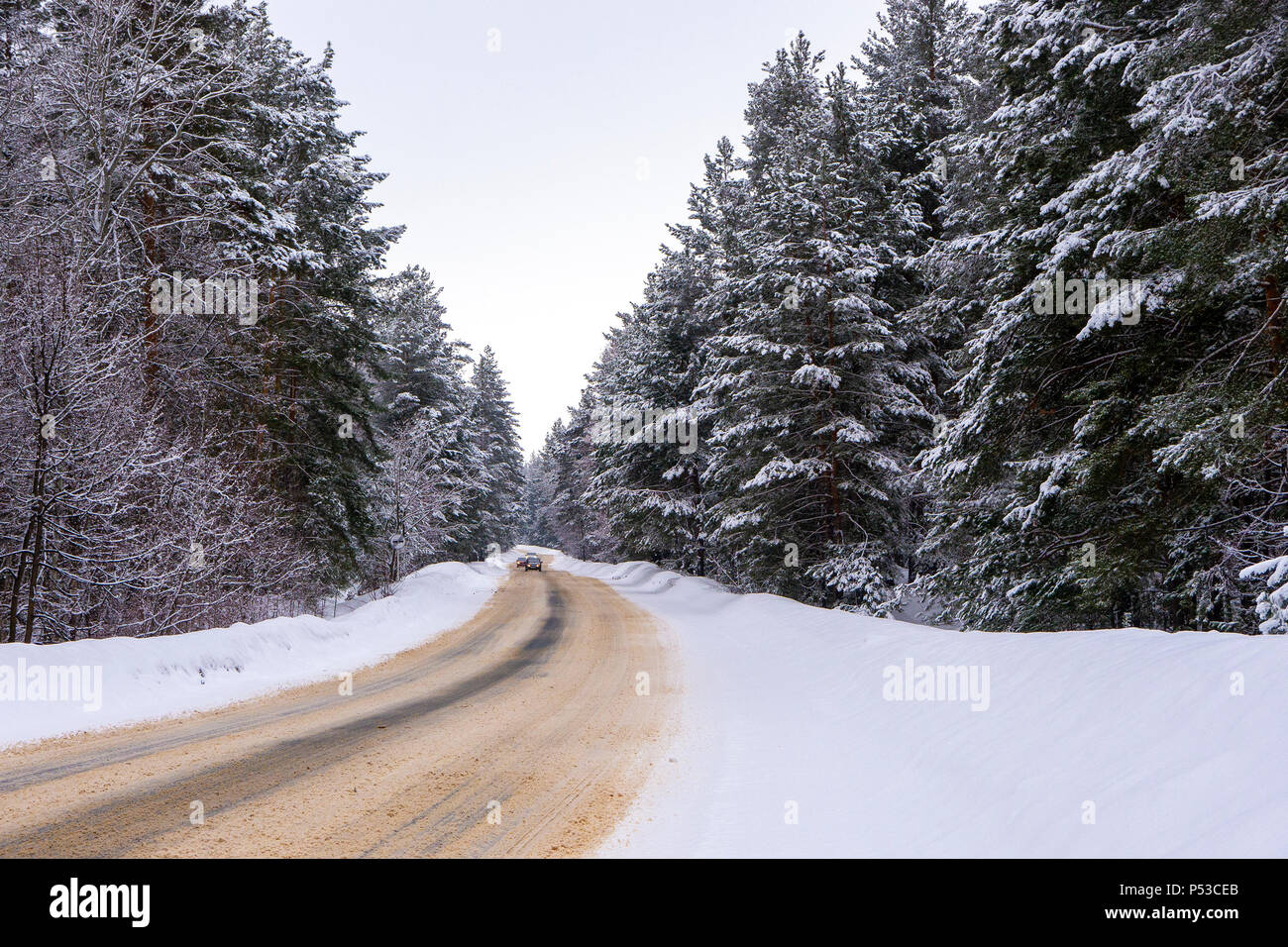 A deserted winter road in the forest Stock Photo - Alamy