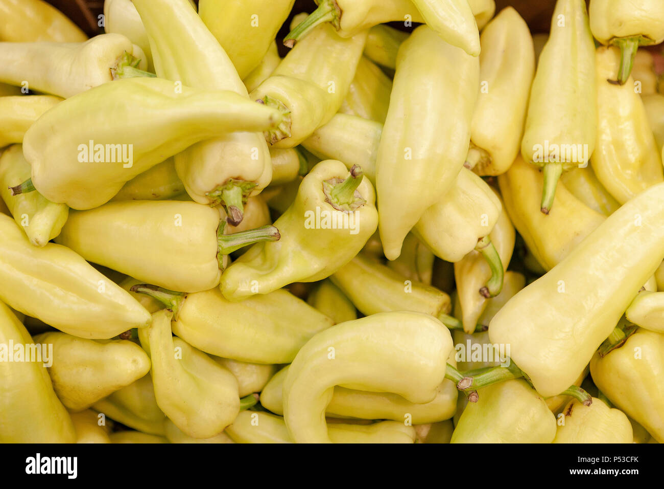 Backdrop of evenly hi-res stock photography and images - Alamy