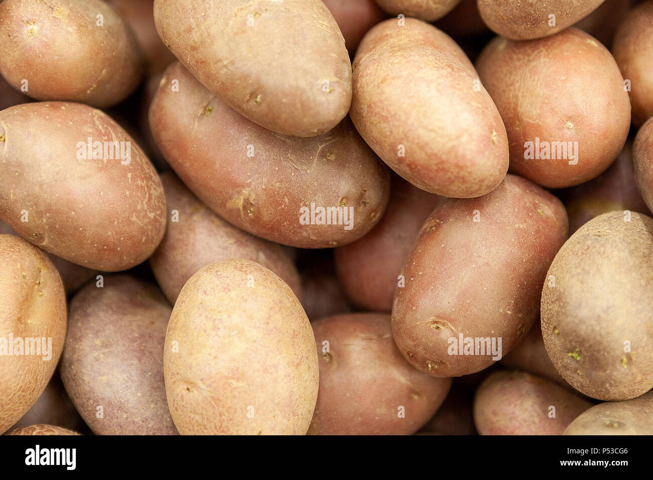 Tubers of red pure potatoes in the shop window Stock Photo - Alamy