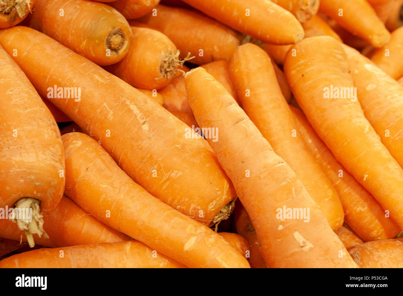 A fresh washed carrot is laid out in a display case Stock Photo - Alamy