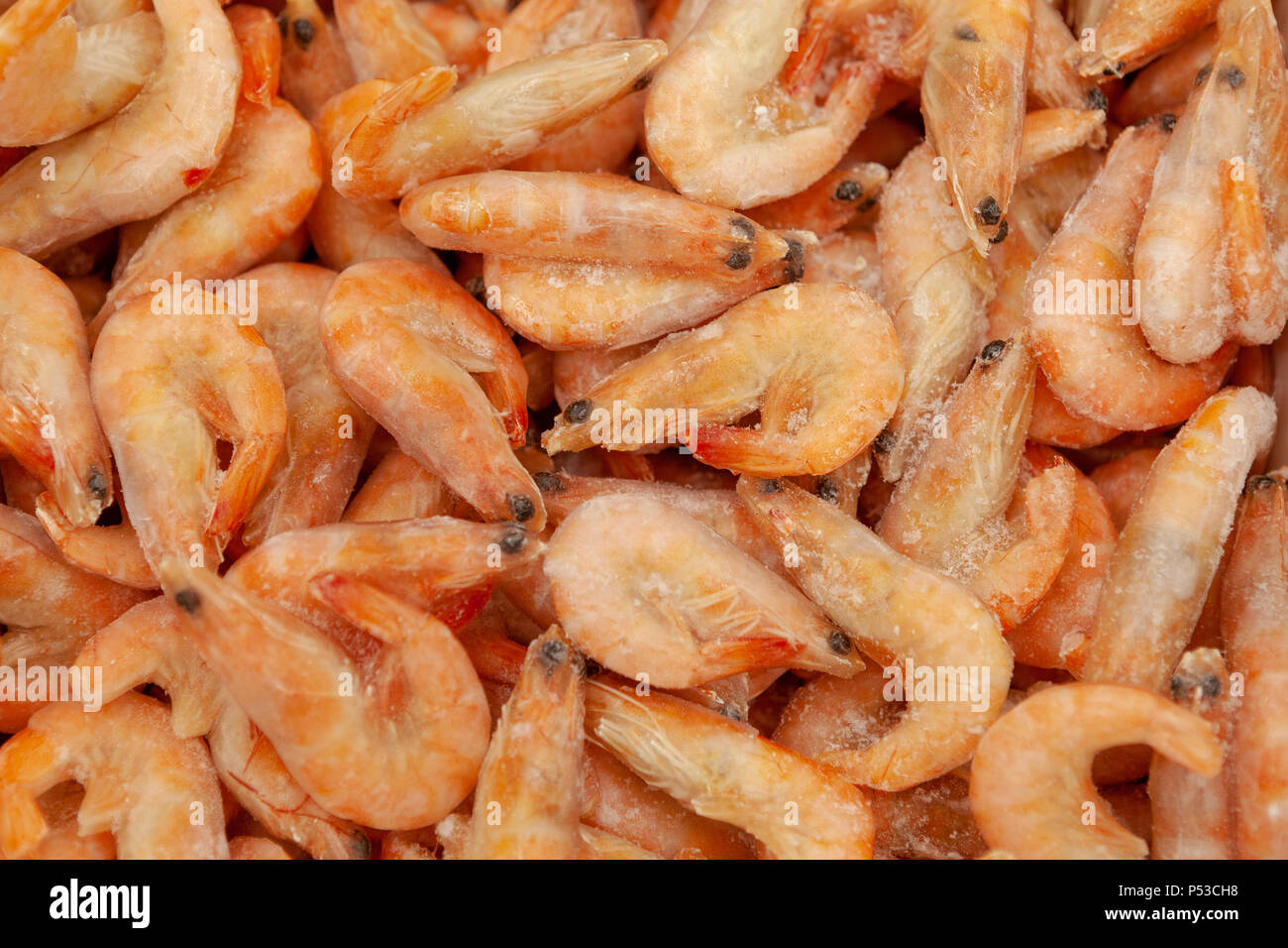 Evenly spread hi-res stock photography and images - Alamy