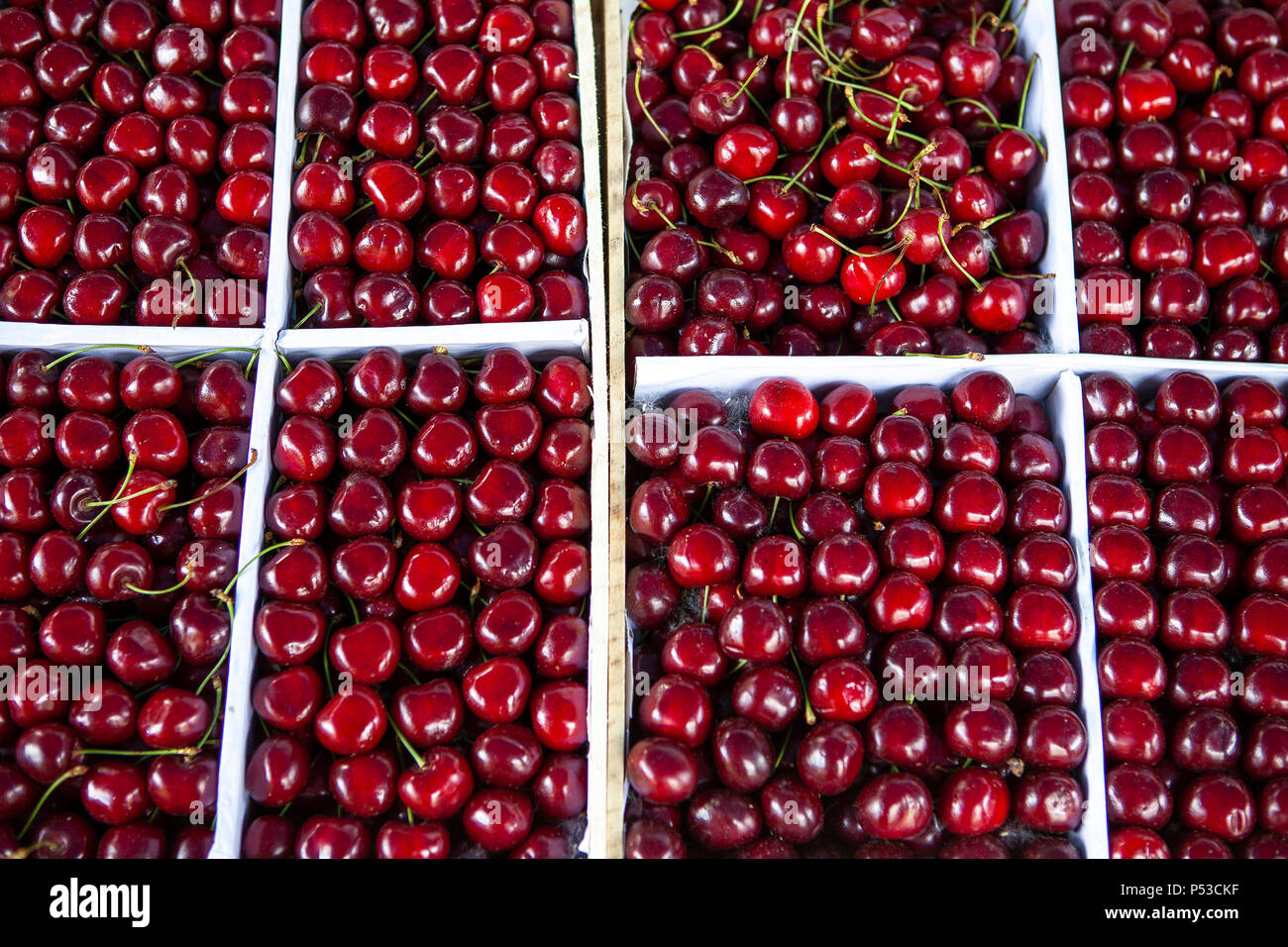Fresh cherry in the window. Sweet cherry picked up in straight rows in ...