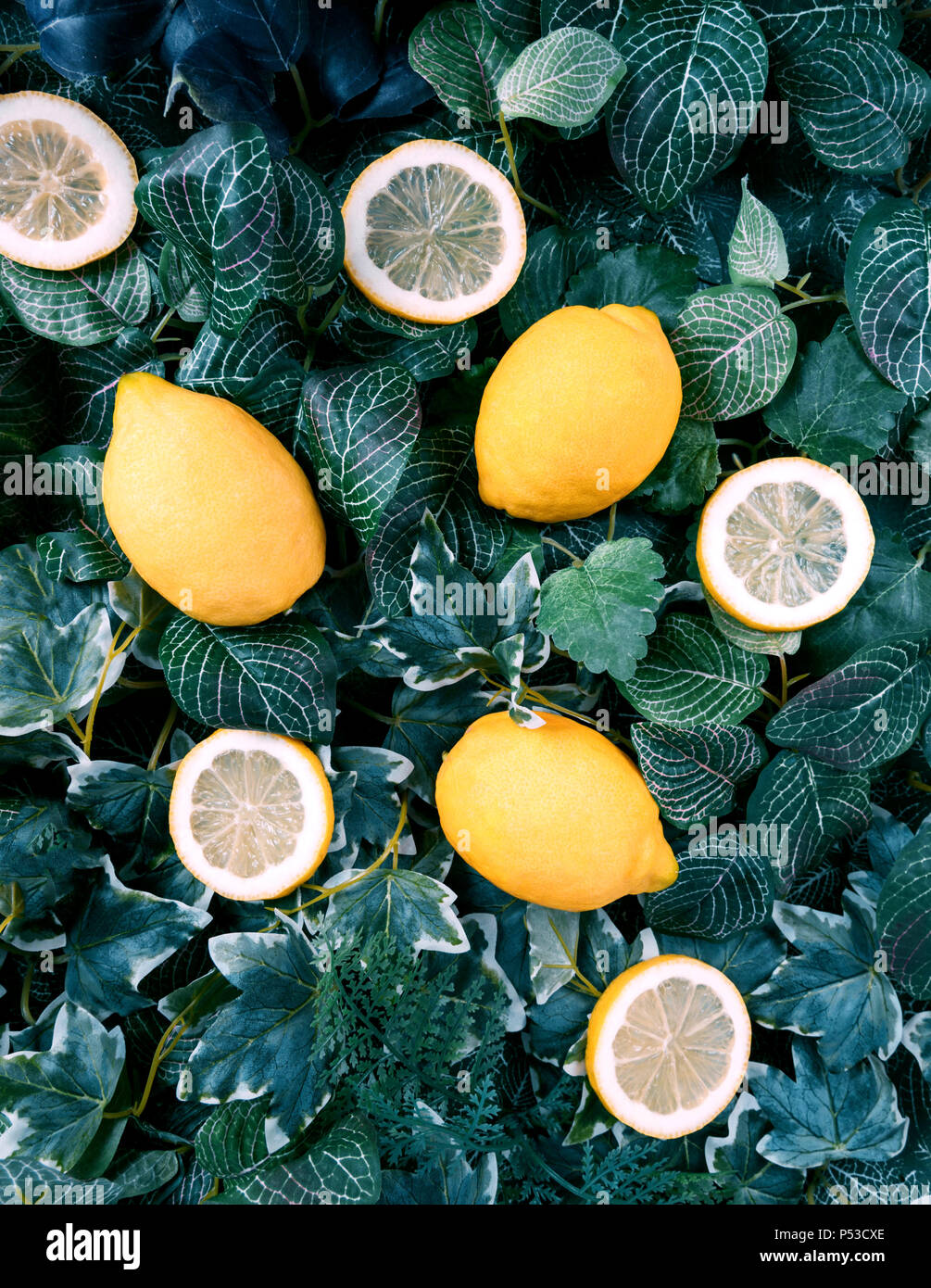 Citrus background. Assorted fresh lemon fruits with leaves Stock Photo ...