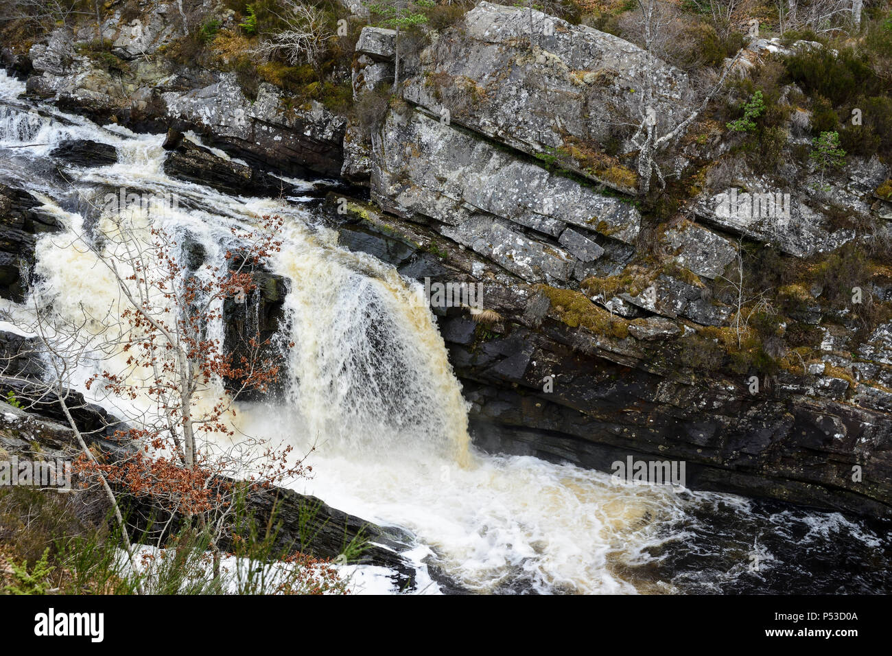 Rogie Falls a series of waterfalls on the Black Water river in Ross ...