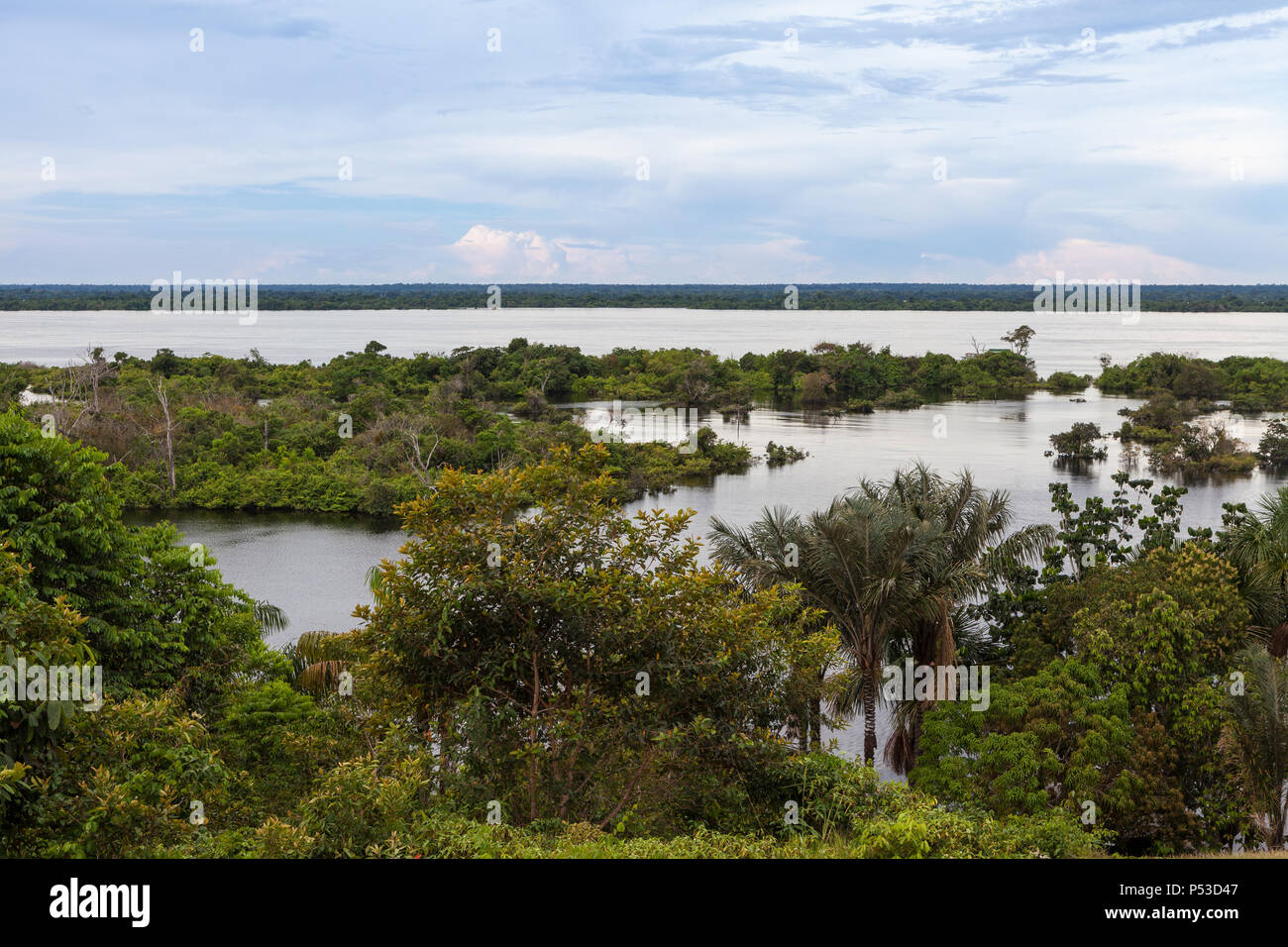 Amazonas, Brazil. View of the Negro River in the flood season and the ...