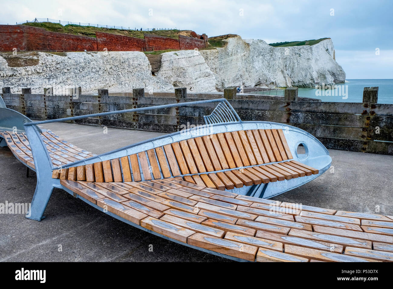 community bench on splash point jetty called The schoal has landed in ...