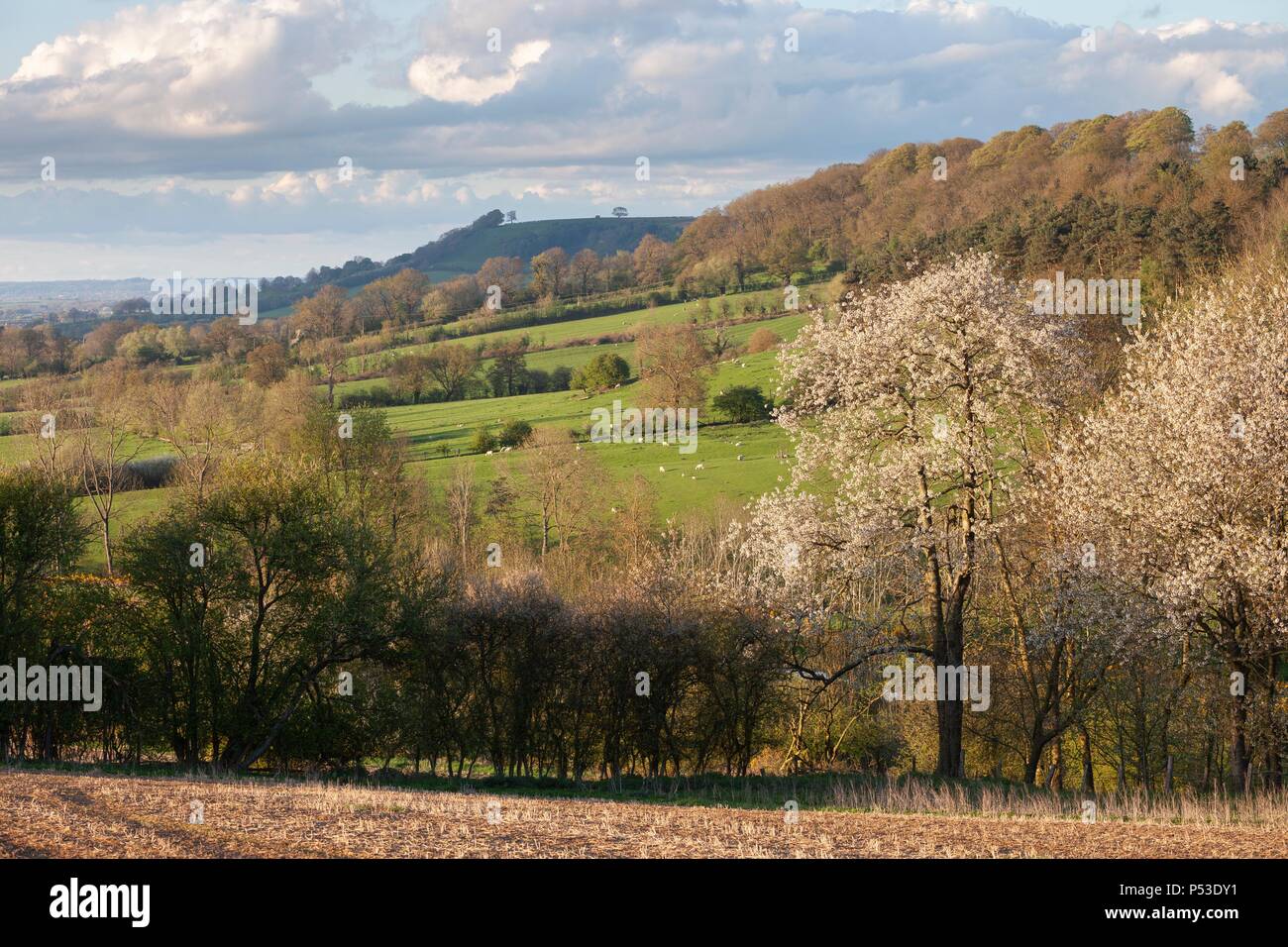 Cotswold countryside in spring time, Gloucestershire, England Stock ...