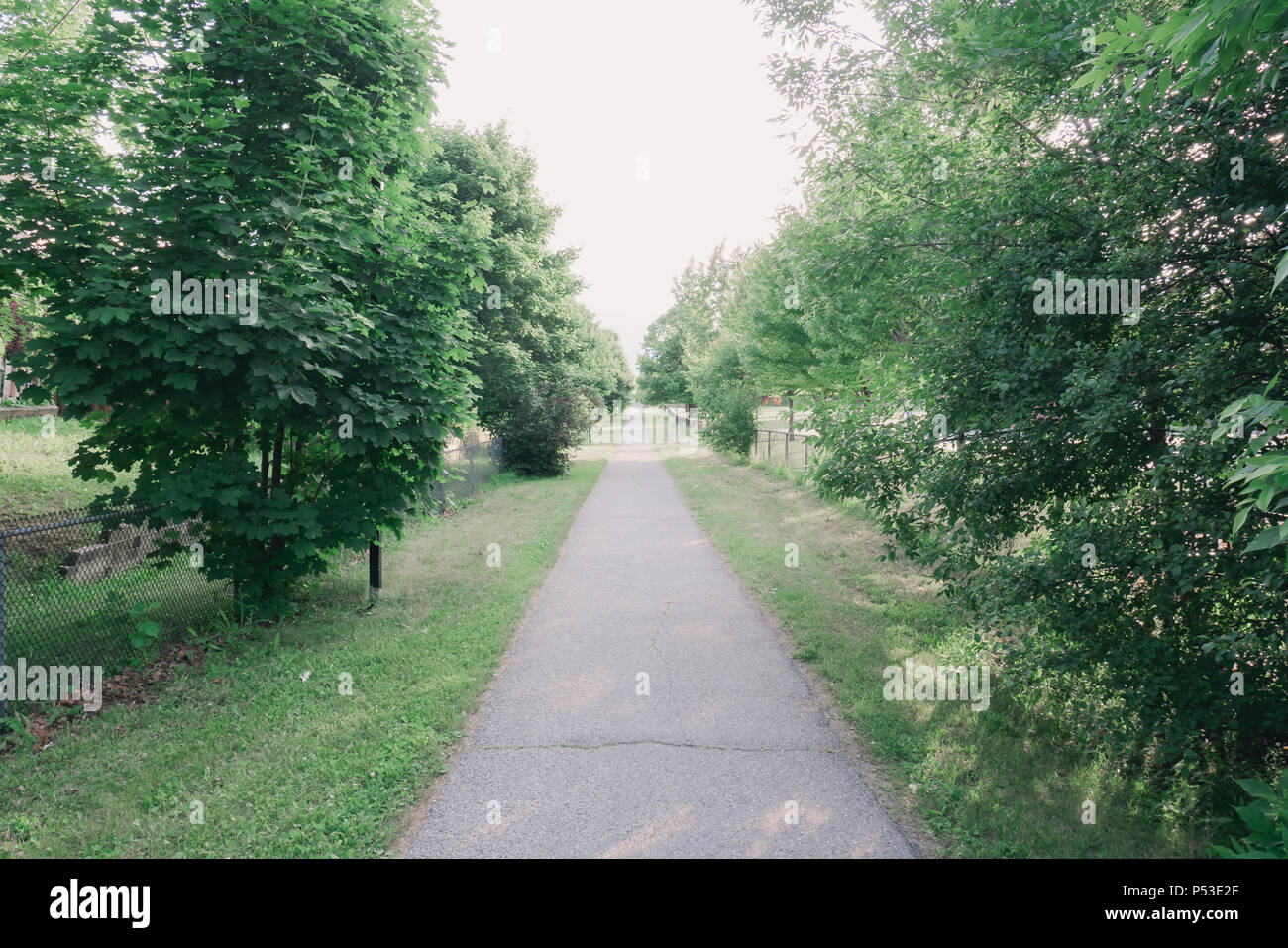 walking pathway surround by trees on both sides Stock Photo - Alamy