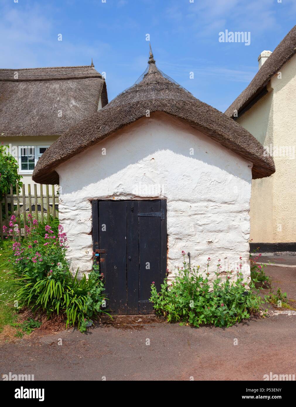 Devonshire thatched building at Hope Cove, England Stock Photo - Alamy