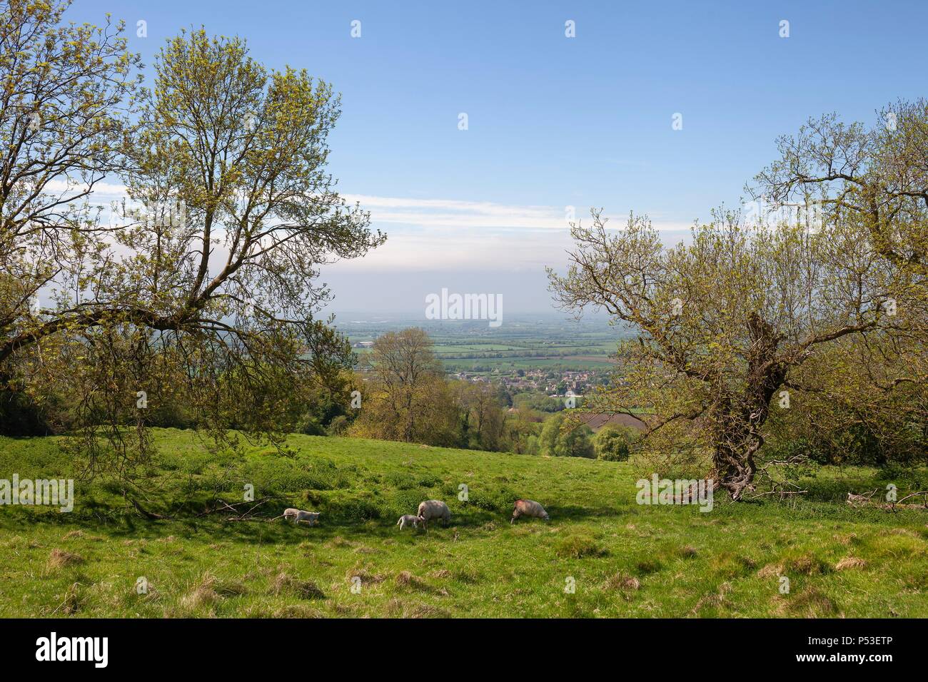 Rural Cotswolds looking over Willersey, Gloucestershire, England Stock ...