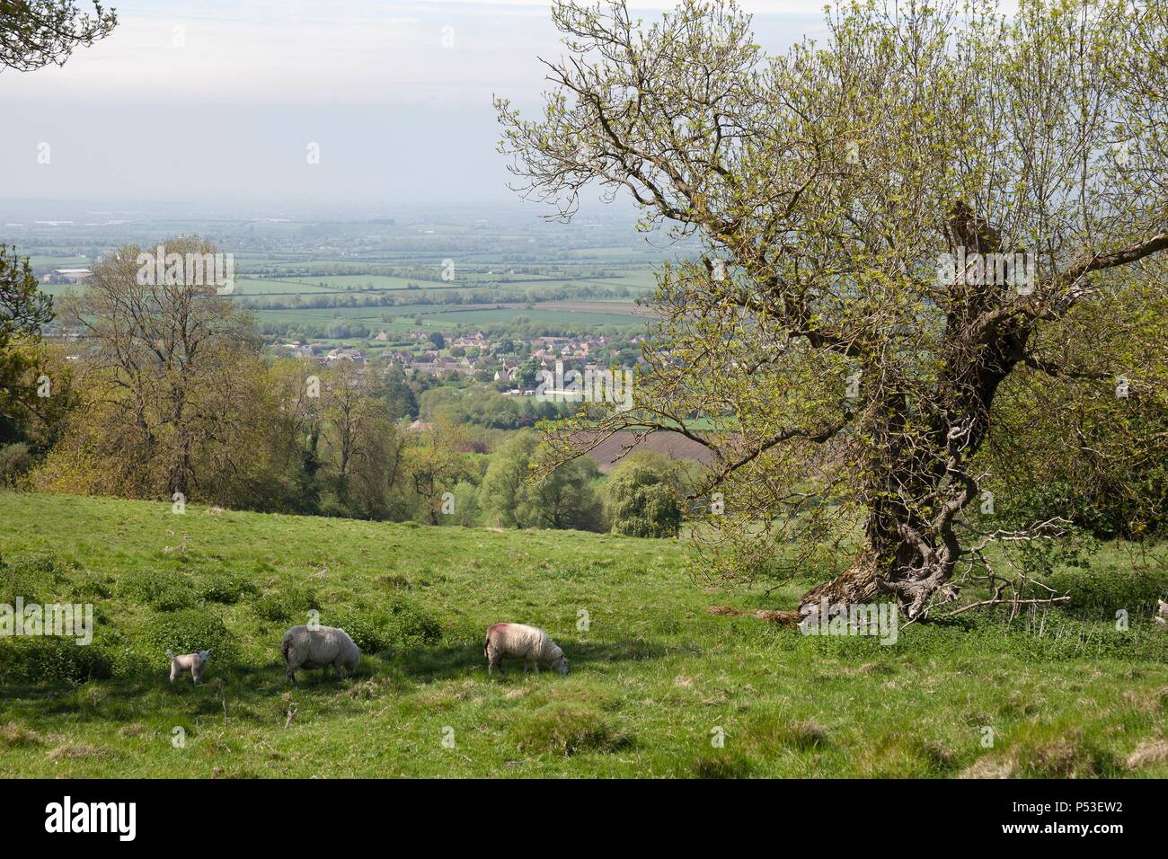 Rural Cotswolds looking over Willersey, Gloucestershire, England Stock ...