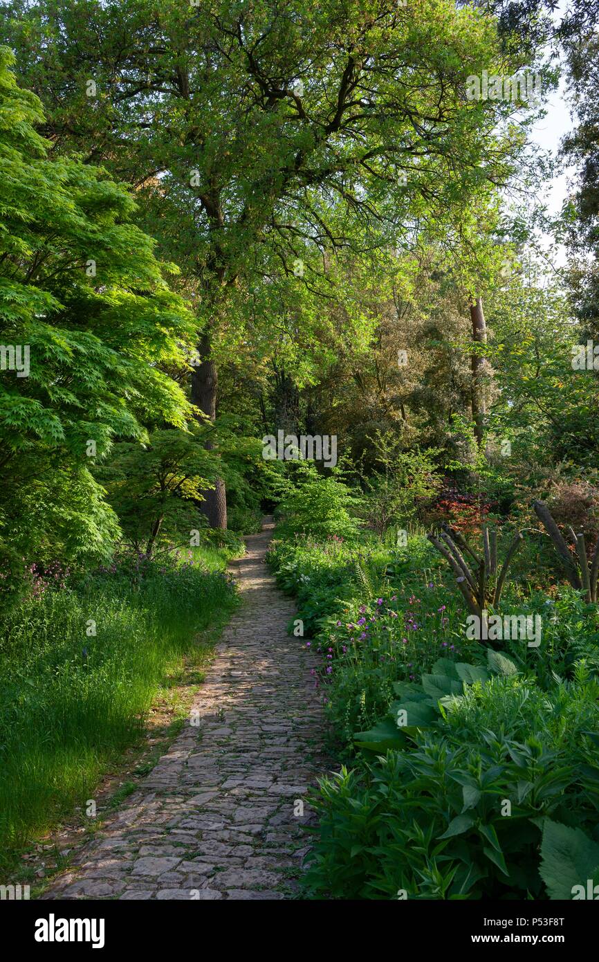 Cotswolds woodland garden path with flowers, Gloucestershire, England ...