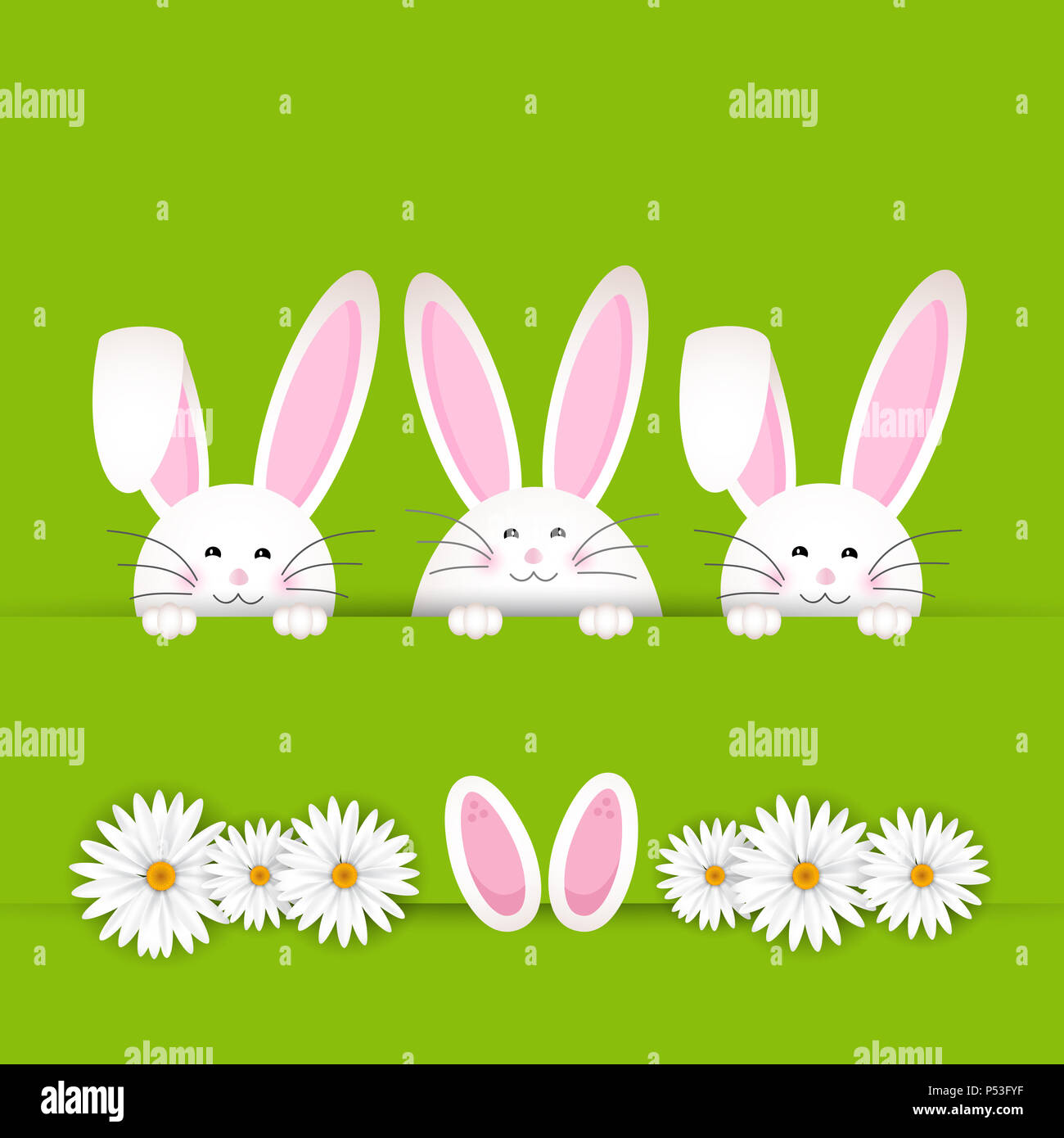 Easter bunny background with daisies Stock Photo - Alamy