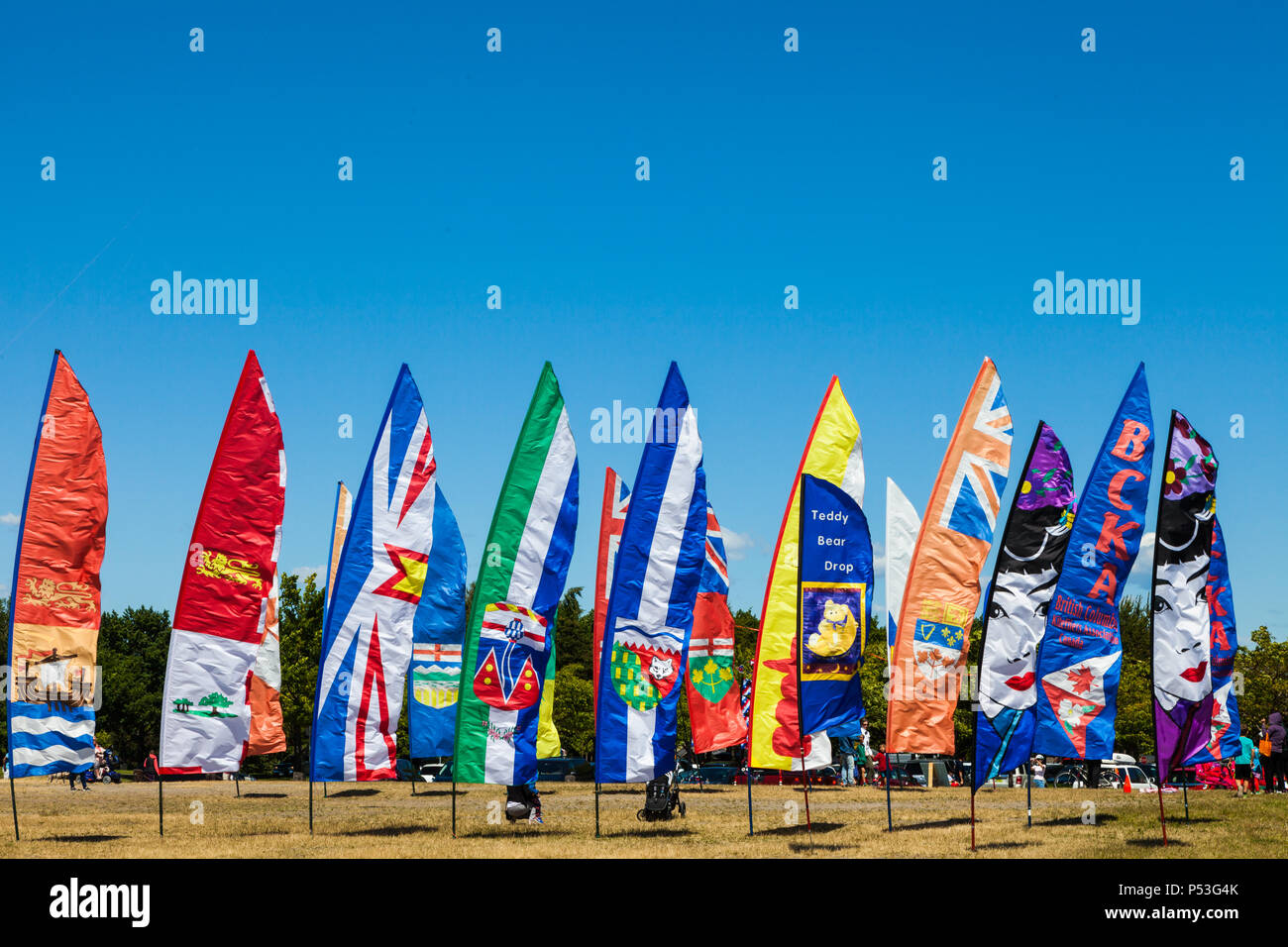 Colourful banners at the entrance of the 2018 Steveston Kite Festival ...