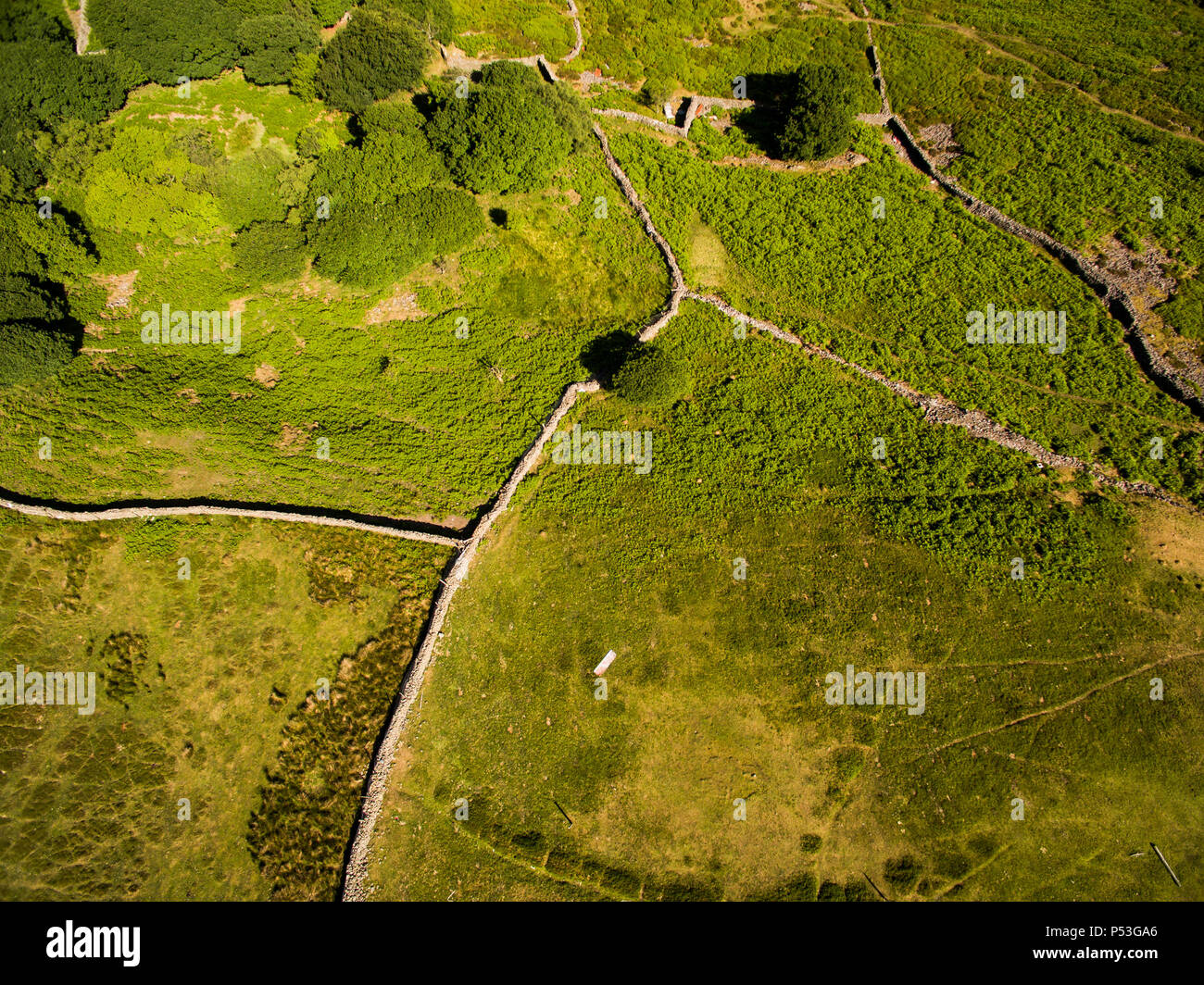 Aerial view from above of stone wall lines in the Welsh countryside ...