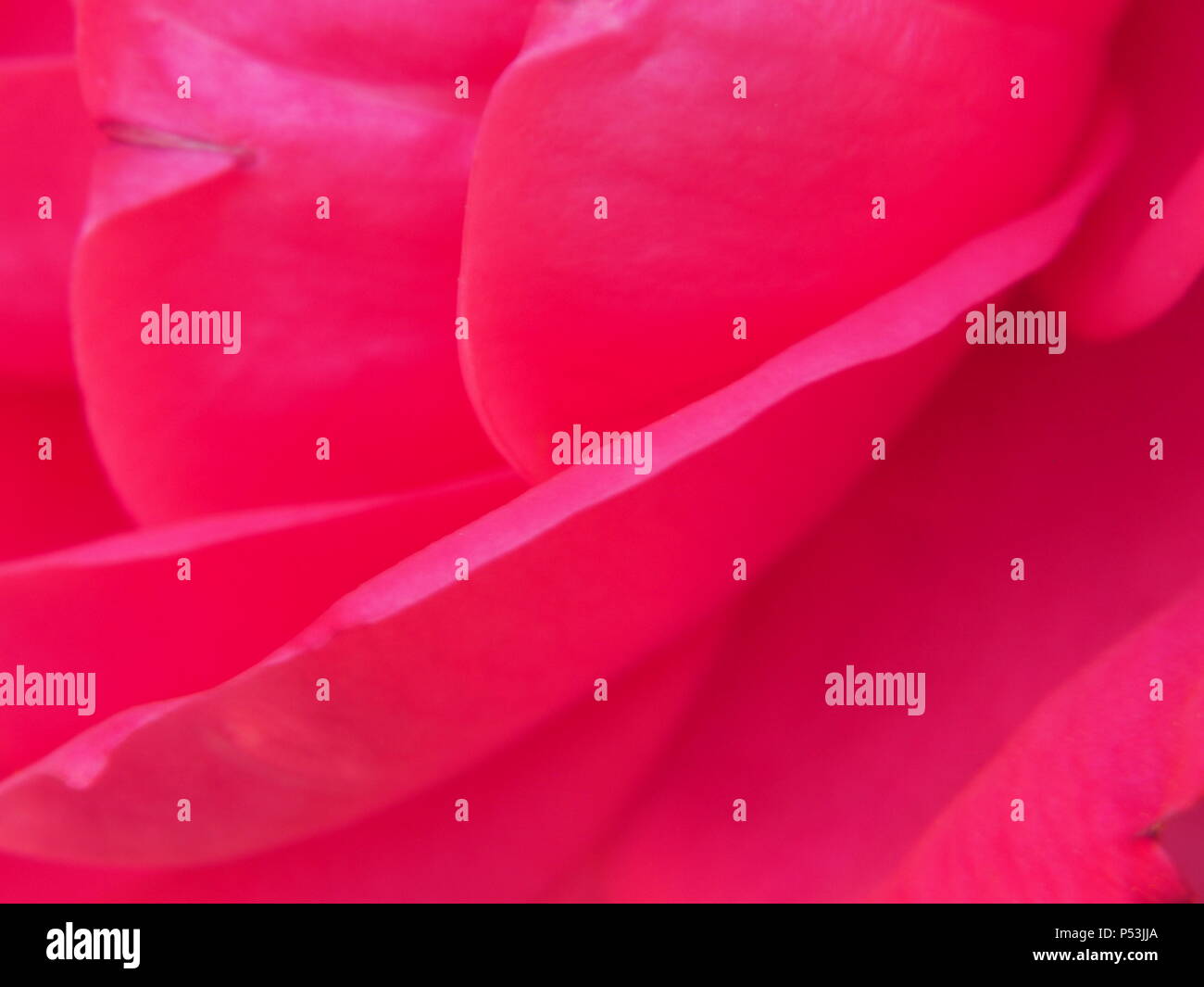 Bud formation hi-res stock photography and images - Alamy