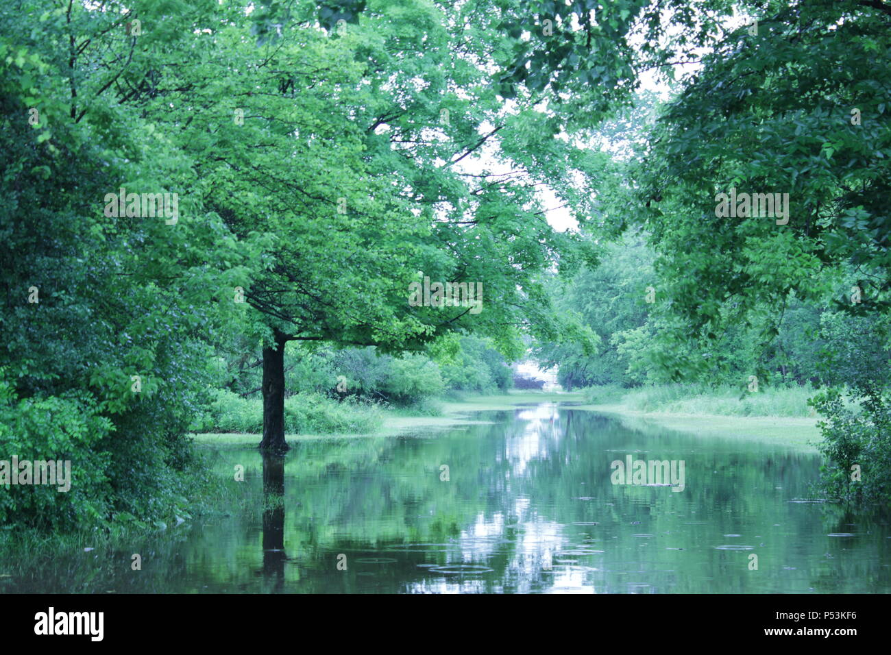 Stormwater Retention Pond High Resolution Stock Photography and Images ...