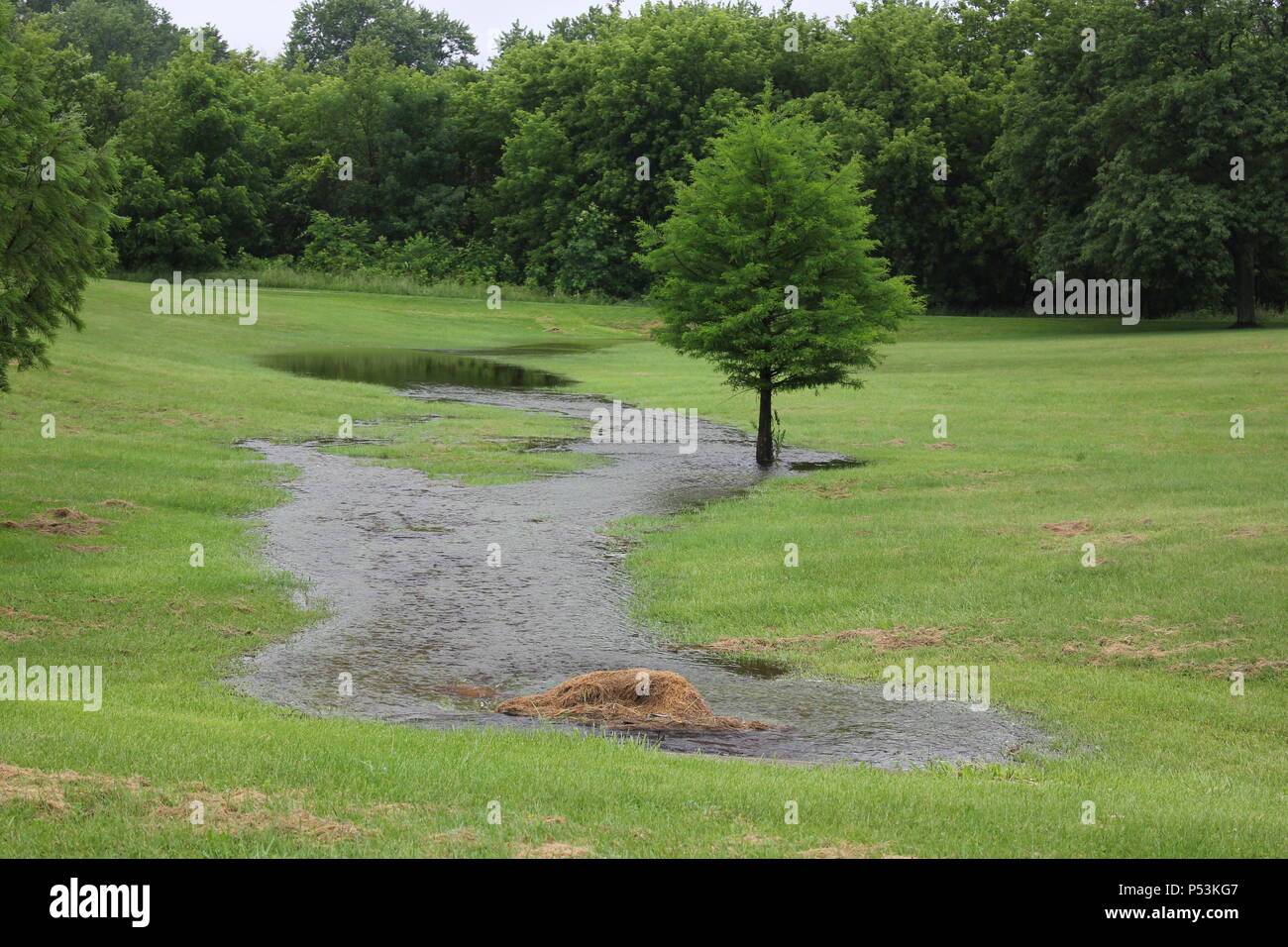 Stormwater retention pond hi-res stock photography and images - Alamy