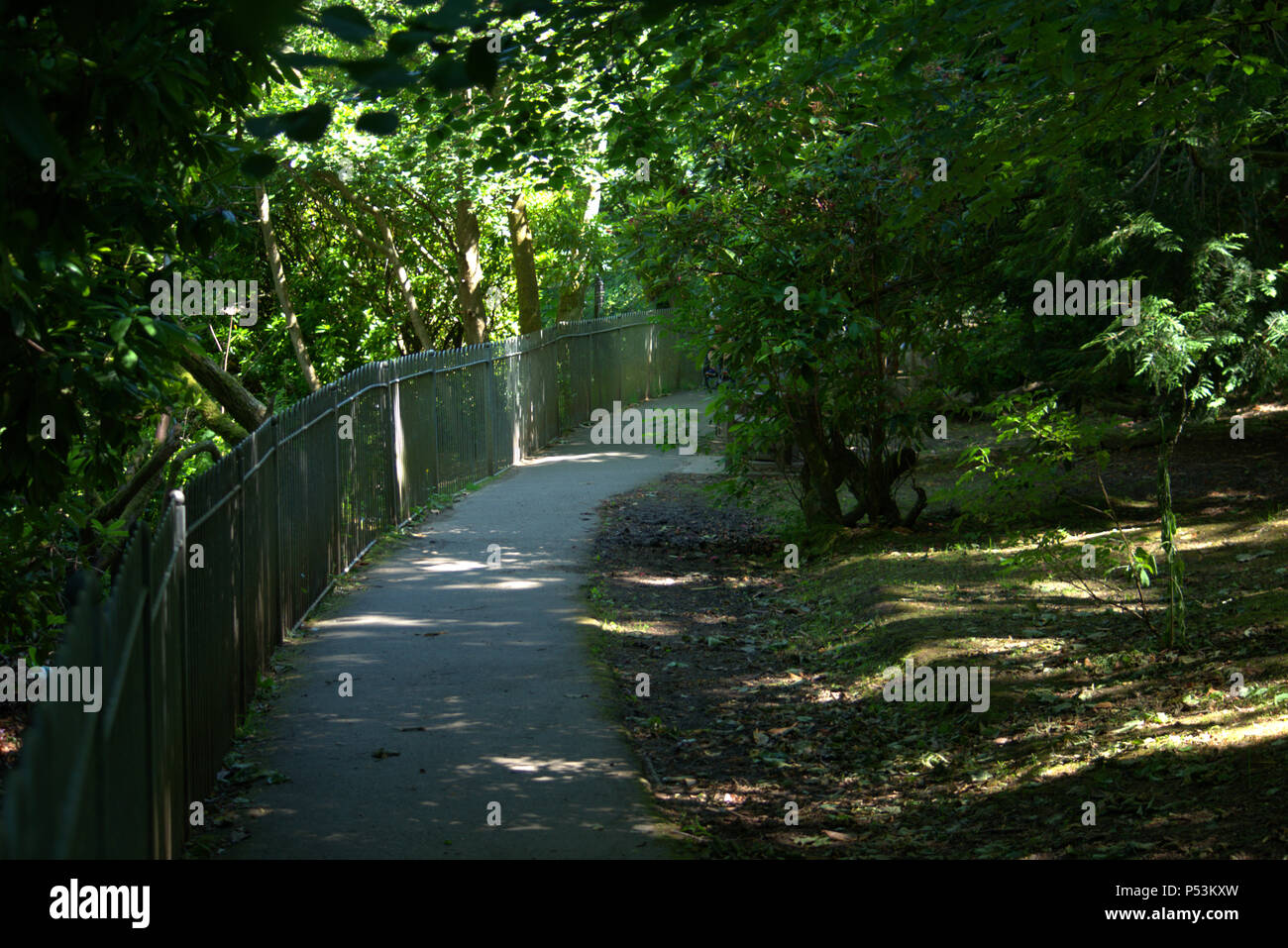 Path and railings Stock Photo - Alamy