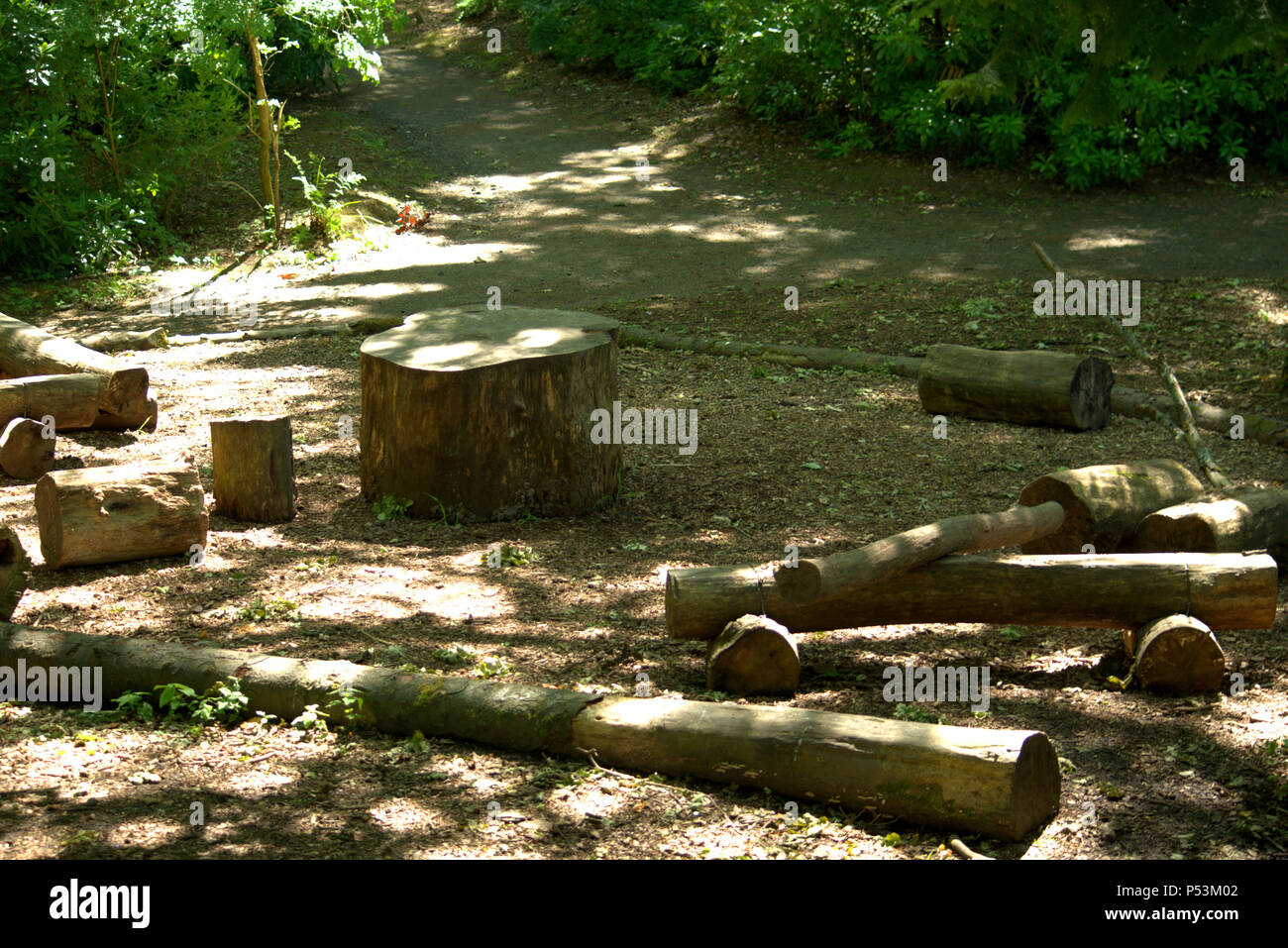 Fallen wood and logs Stock Photo - Alamy